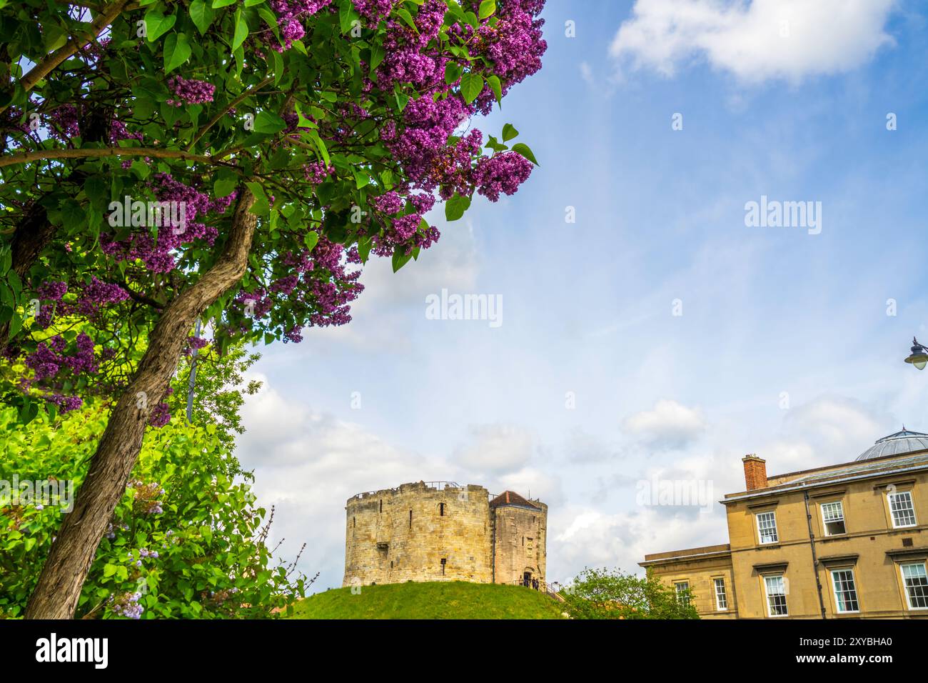 York panoramic skyline, landscape view of Clifford's Tower with flowers ...