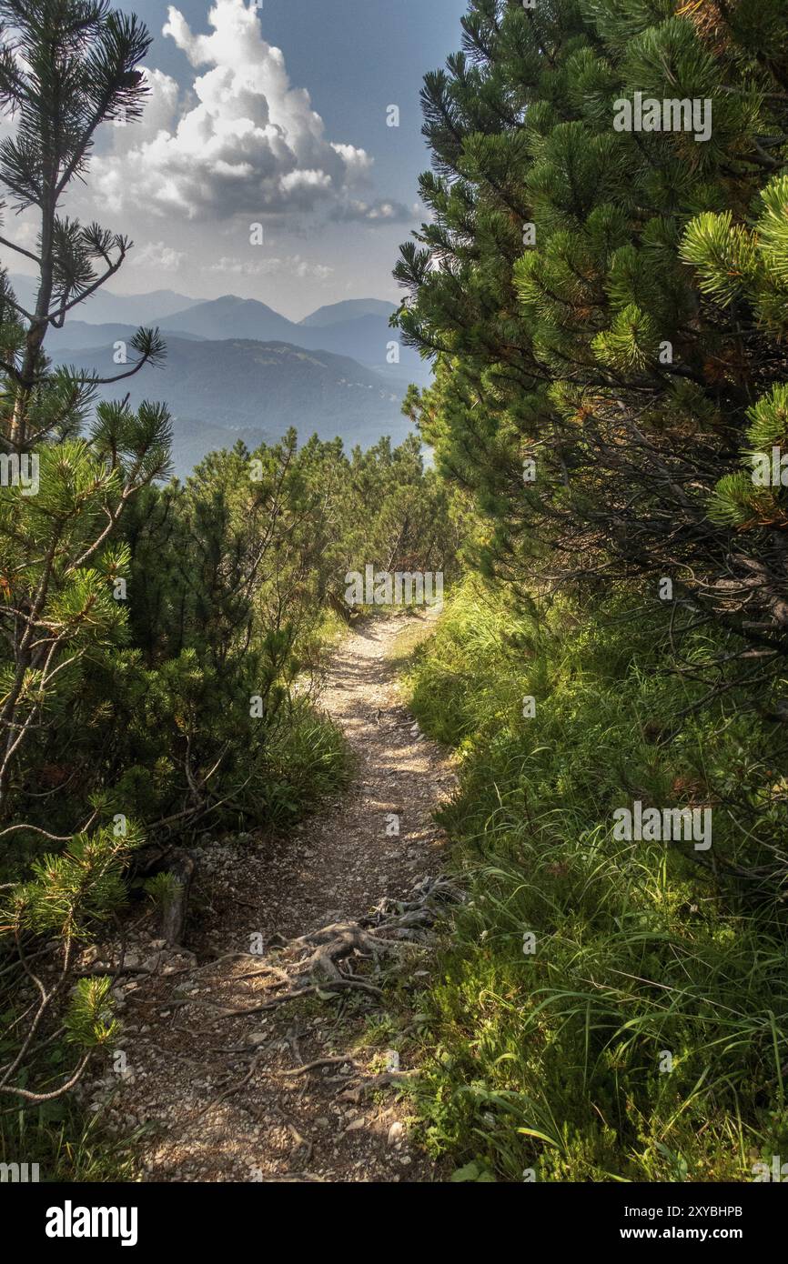 Via ferrata routes hi-res stock photography and images - Alamy
