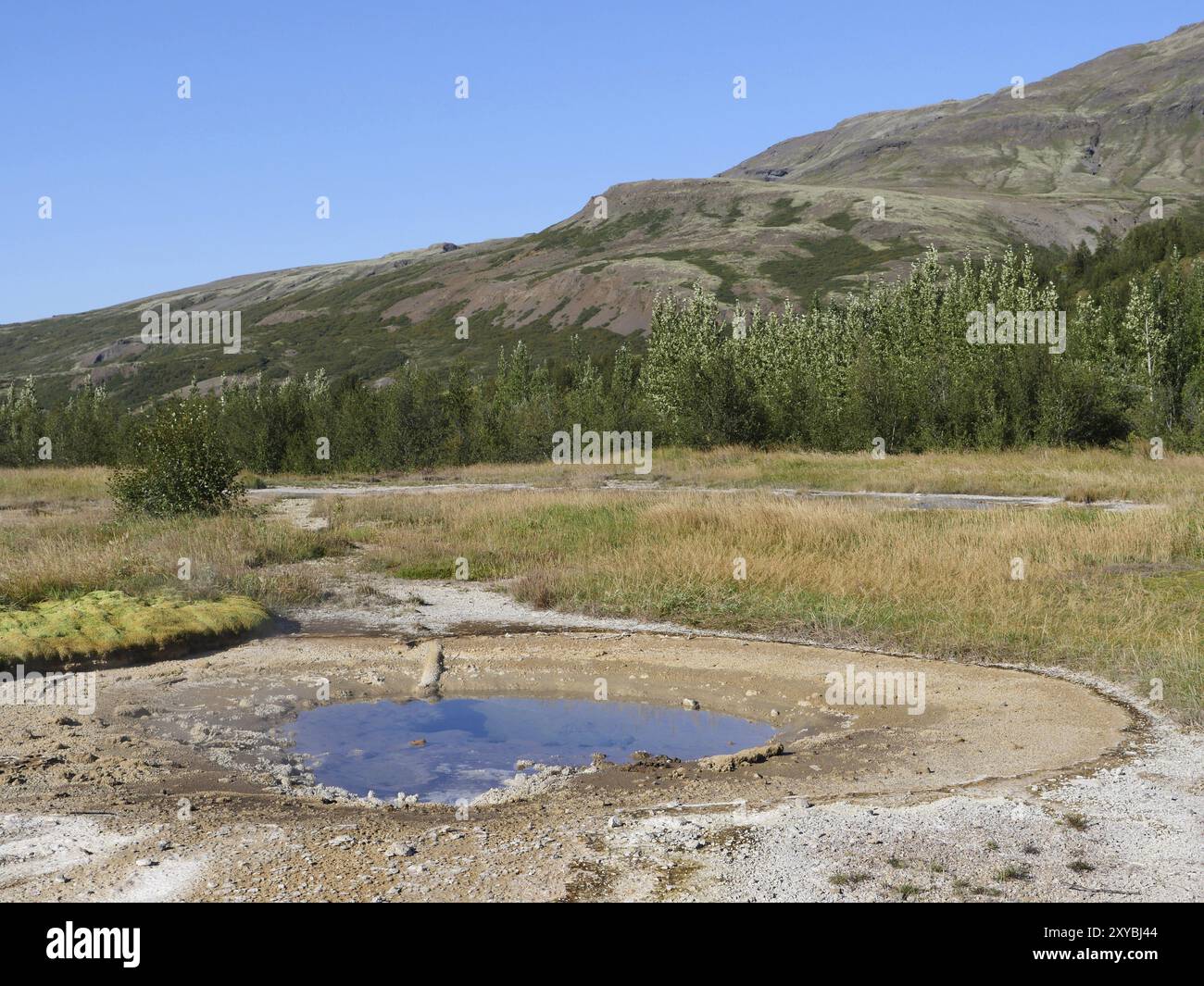Landscape at the great geyser in Iceland Stock Photo - Alamy