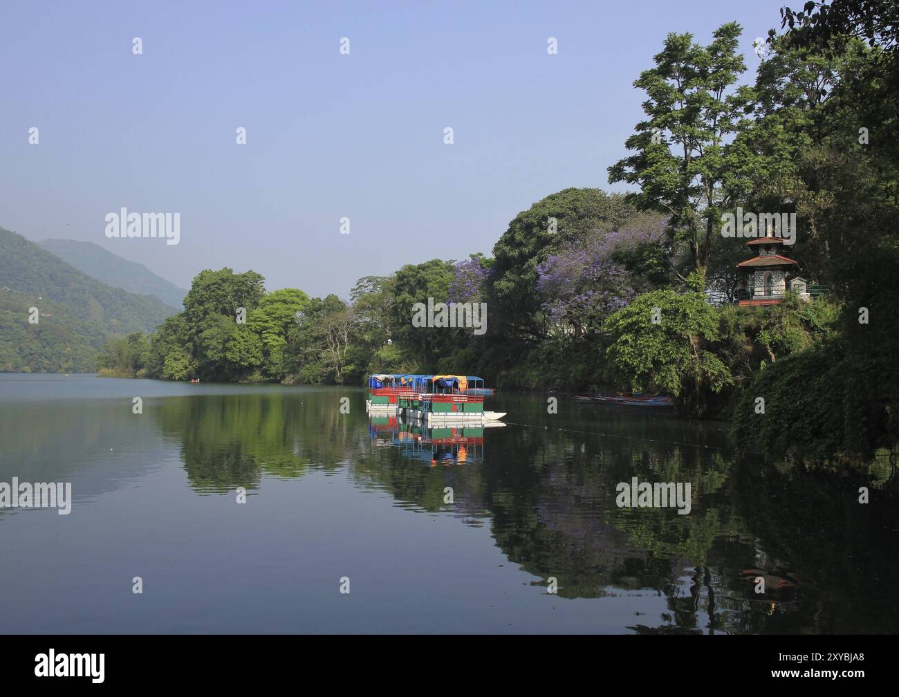 Small pagoda and purple flowering trees in Pokhara, Nepal, Asia Stock ...