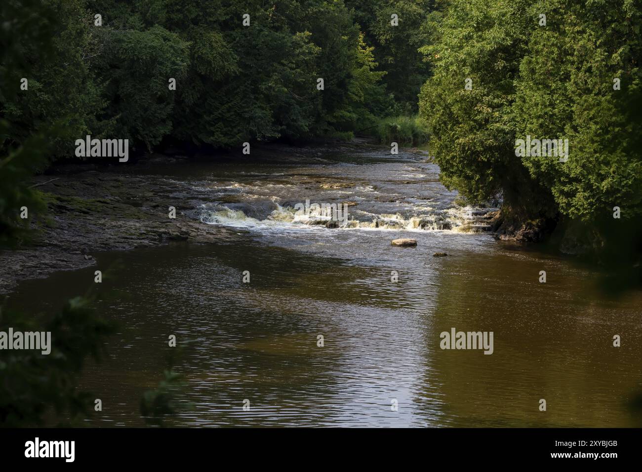 Natural scene from Wisconsin Stock Photo - Alamy