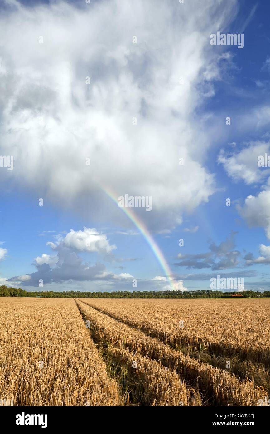 Rain shower over farmland fields hi-res stock photography and images ...
