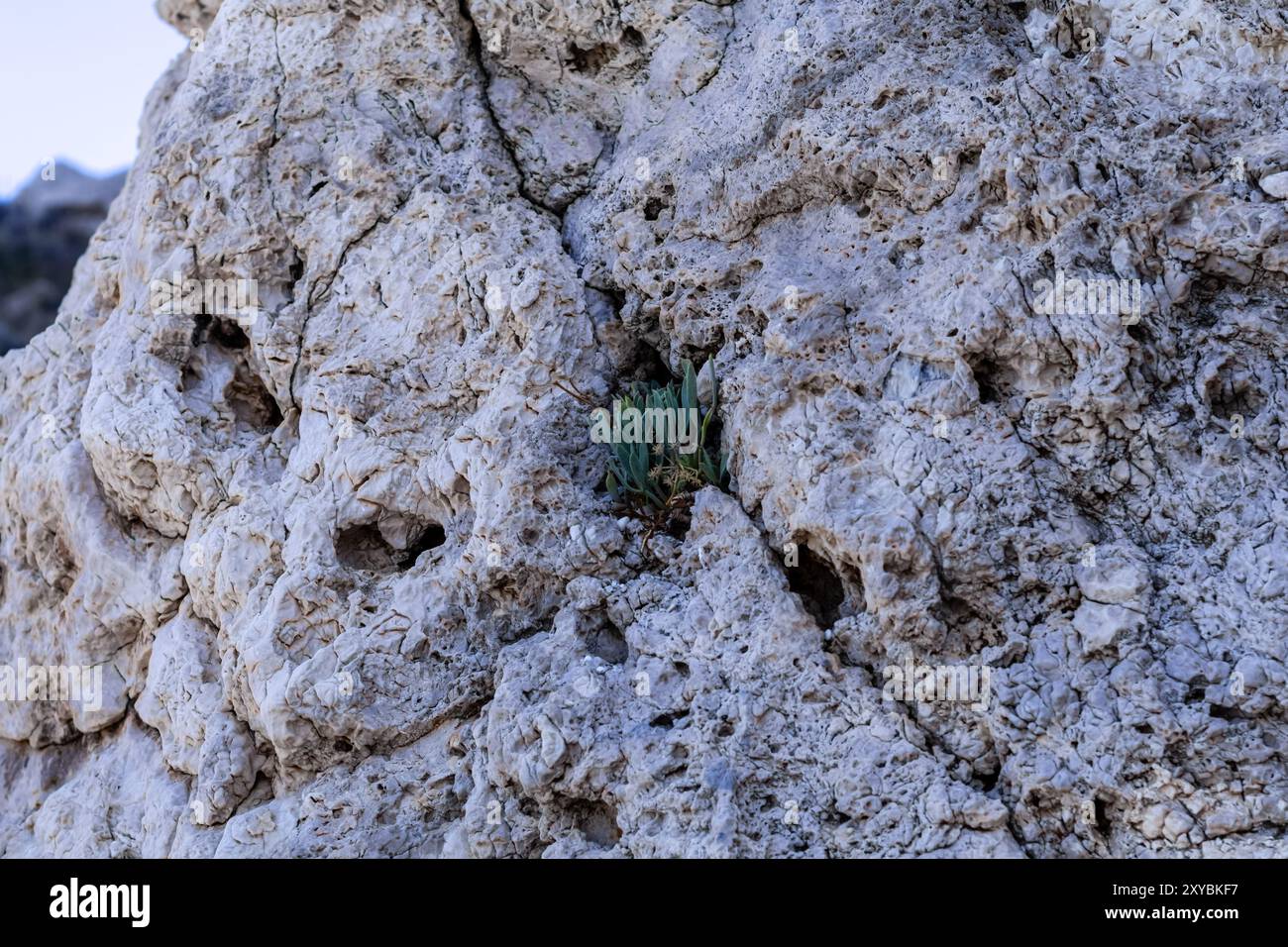 Oceanfront rocks hi-res stock photography and images - Alamy