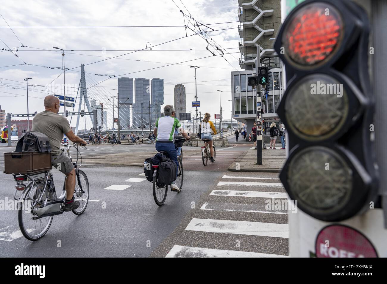 Bicycle traffic light, cyclist on cycle path, cycling at red light, in ...