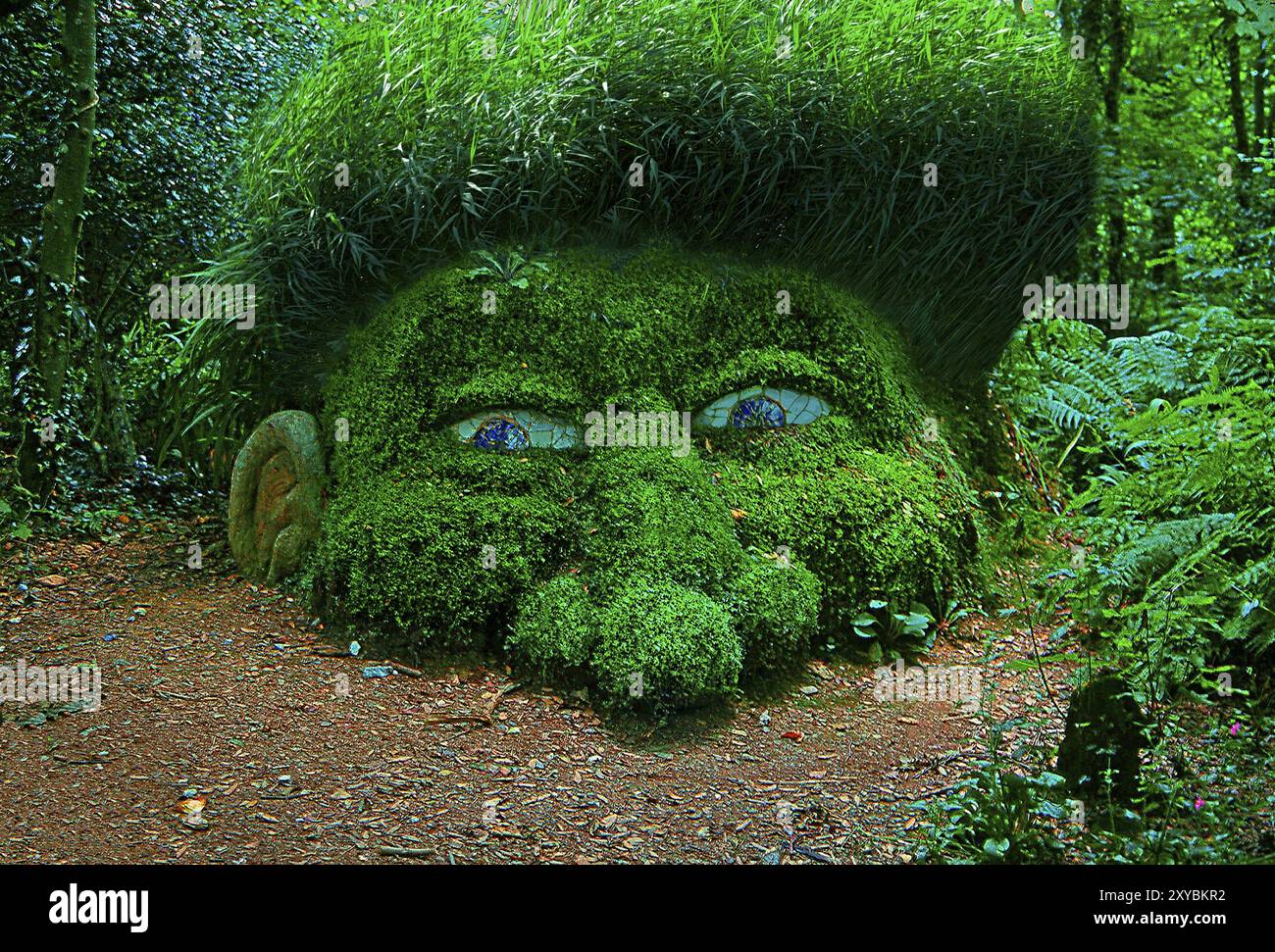 Face made of plants, Lost Gardens of Heligan, Great Britain Stock Photo ...