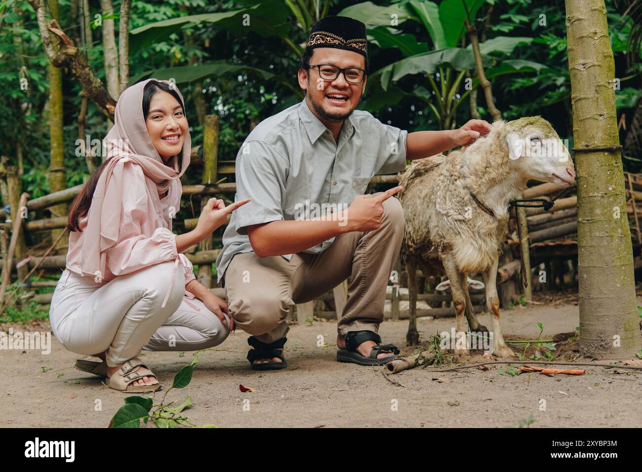Excited Asian Muslim couple pointing to the livestock goat for ...