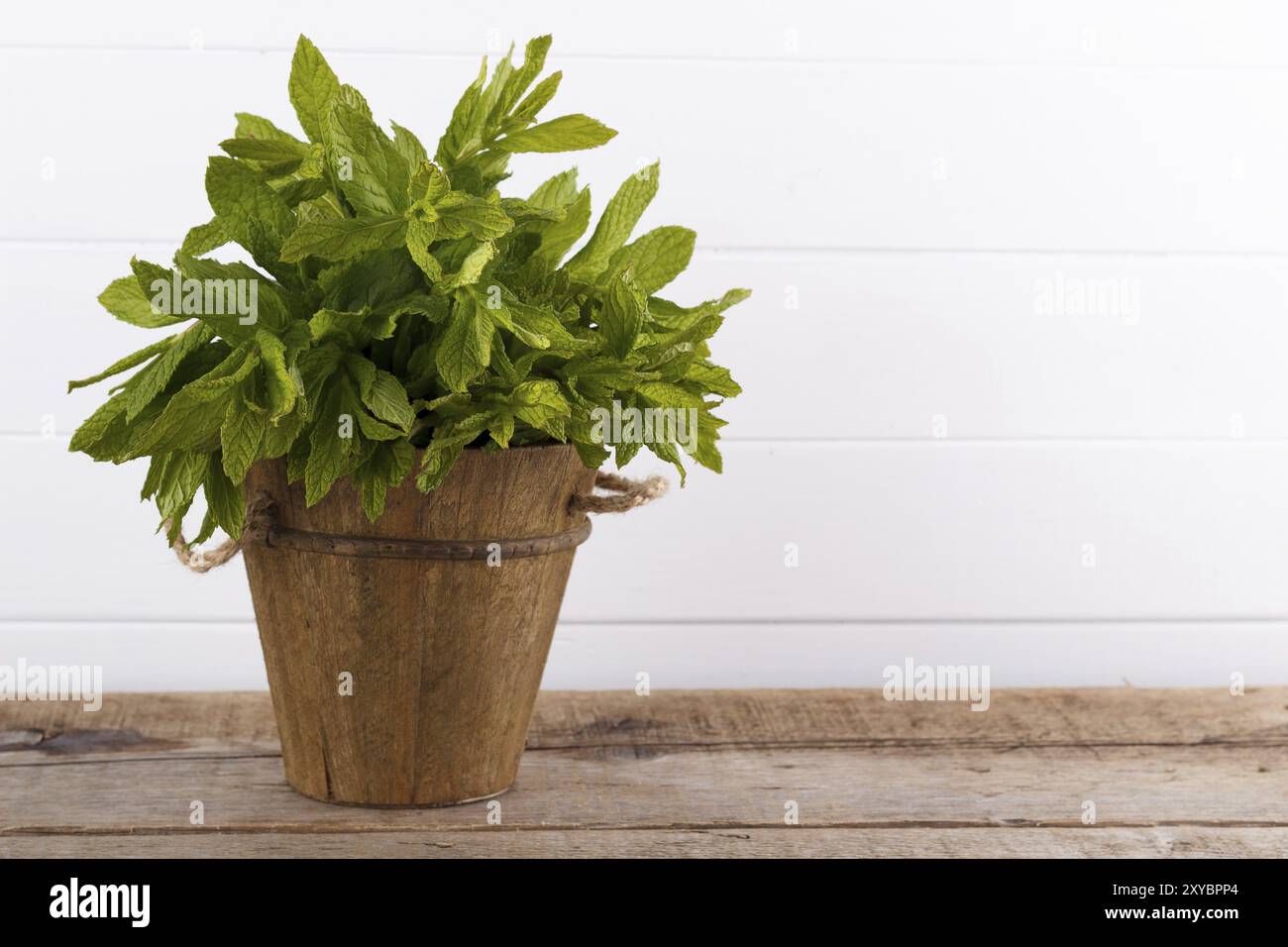 Fresh Mint in a small wooden bucket Stock Photo - Alamy
