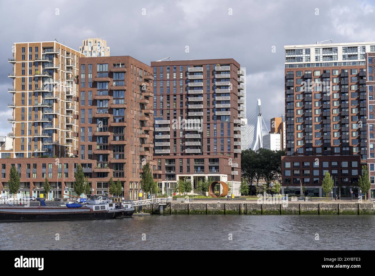 New residential tower blocks in the Katendrecht neighbourhood ...