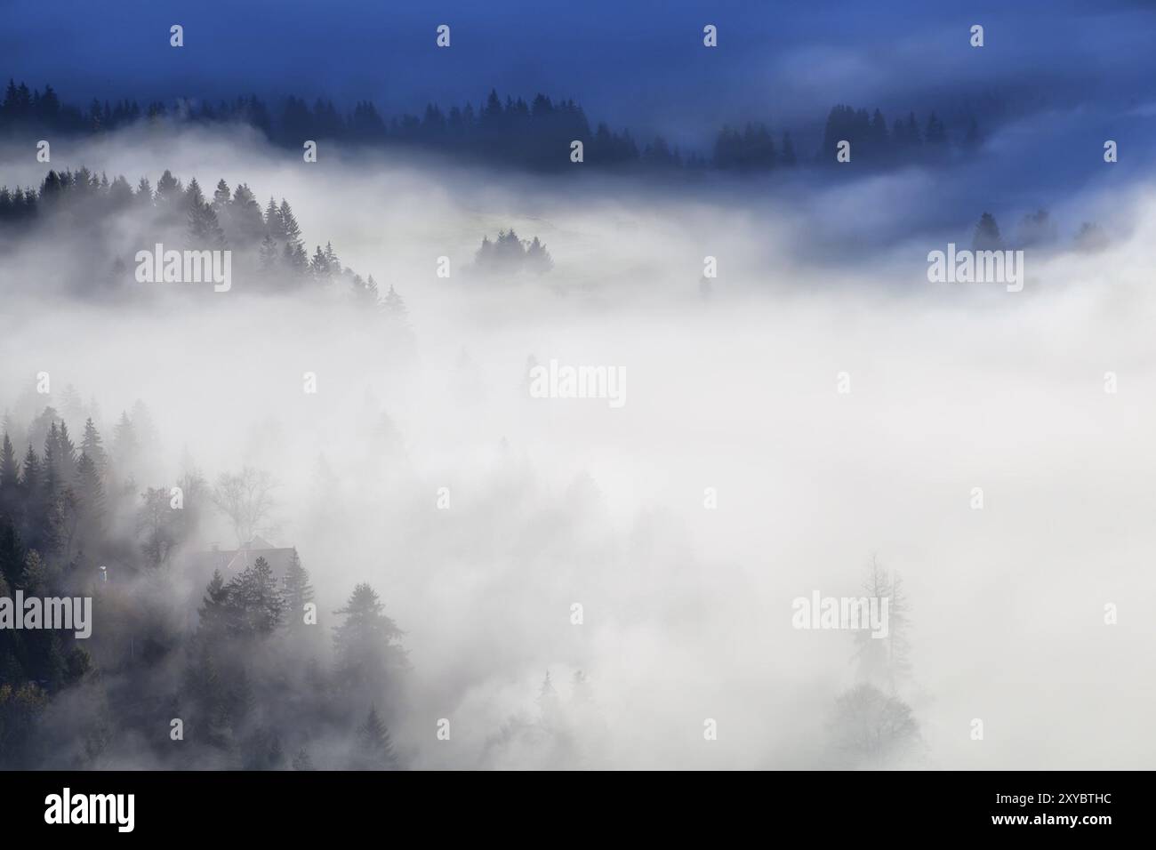 Forests and meadows in dense morning fog, Germany, Europe Stock Photo ...
