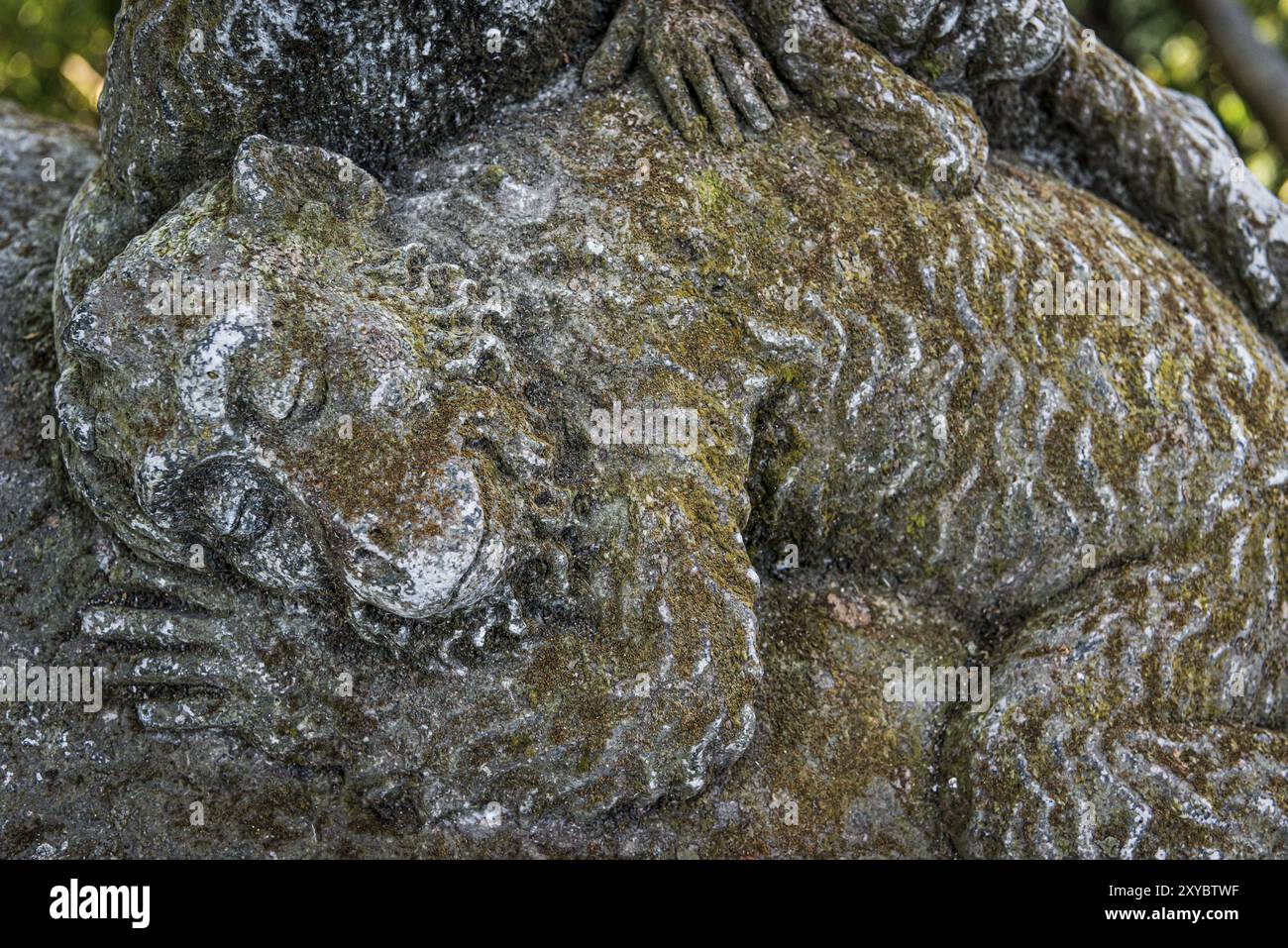 Sleeping monkey, temple figure, sleep, sleeping, rest, resting ...