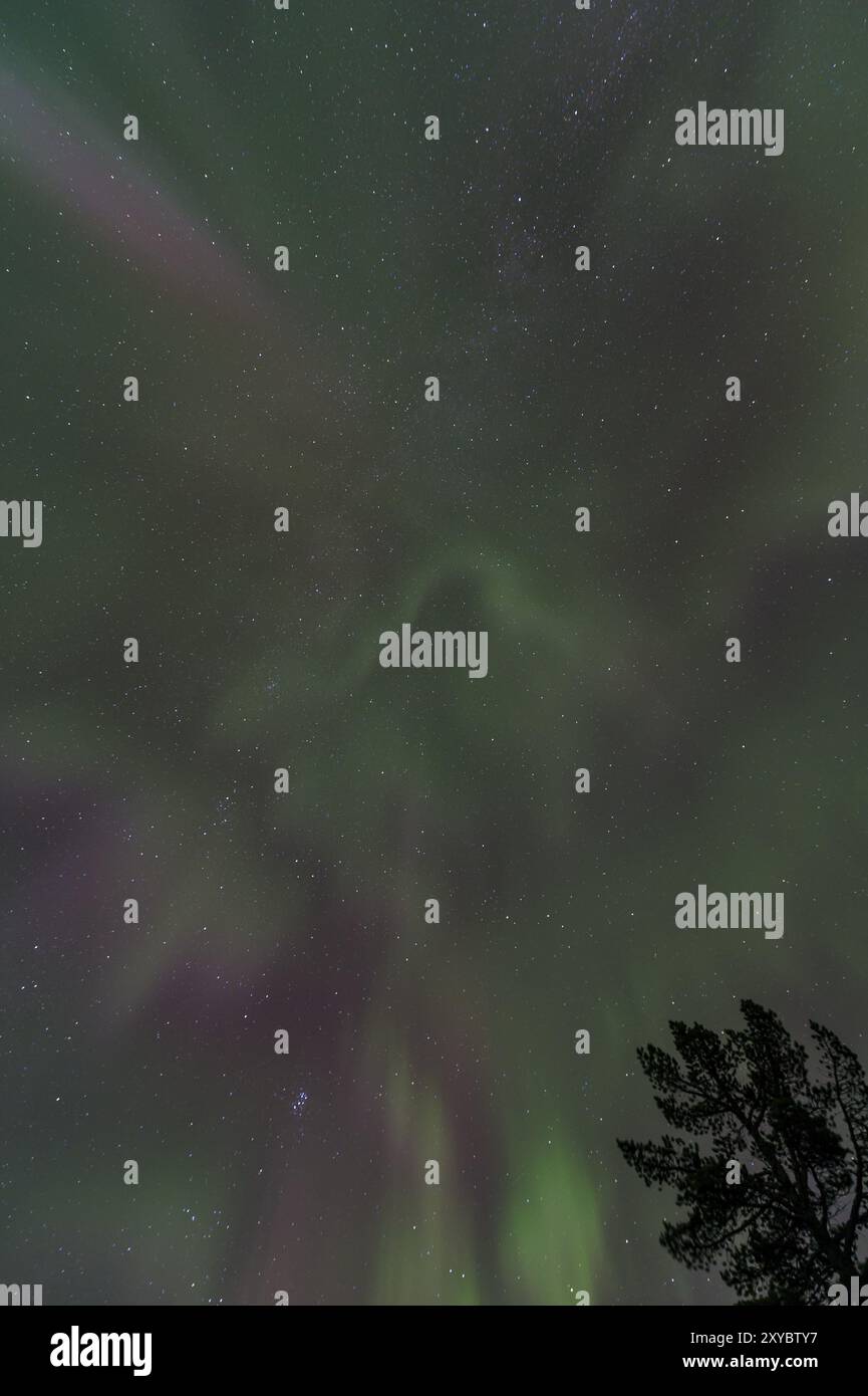 Northern lights (Aurora borealis), Gaellivare, Norrbotten, Lapland ...