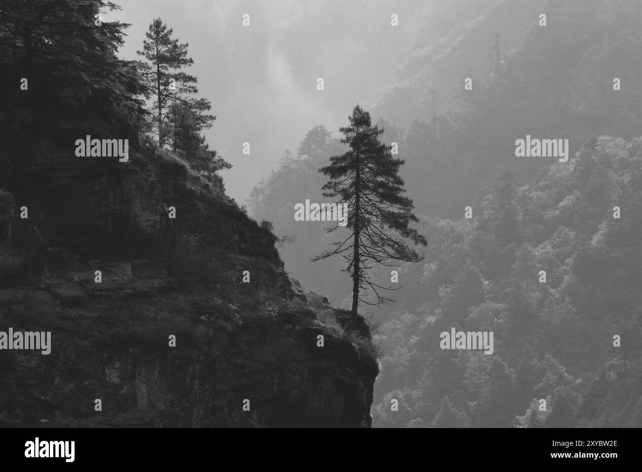 Growing markets Black and White Stock Photos & Images - Alamy