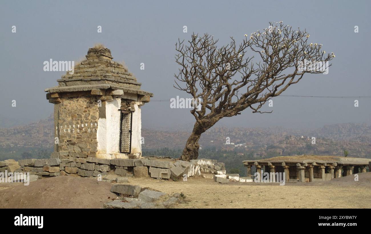 Frangipani tree and ruins. Scene in Hampi, Karnataka. Ancient town and ...