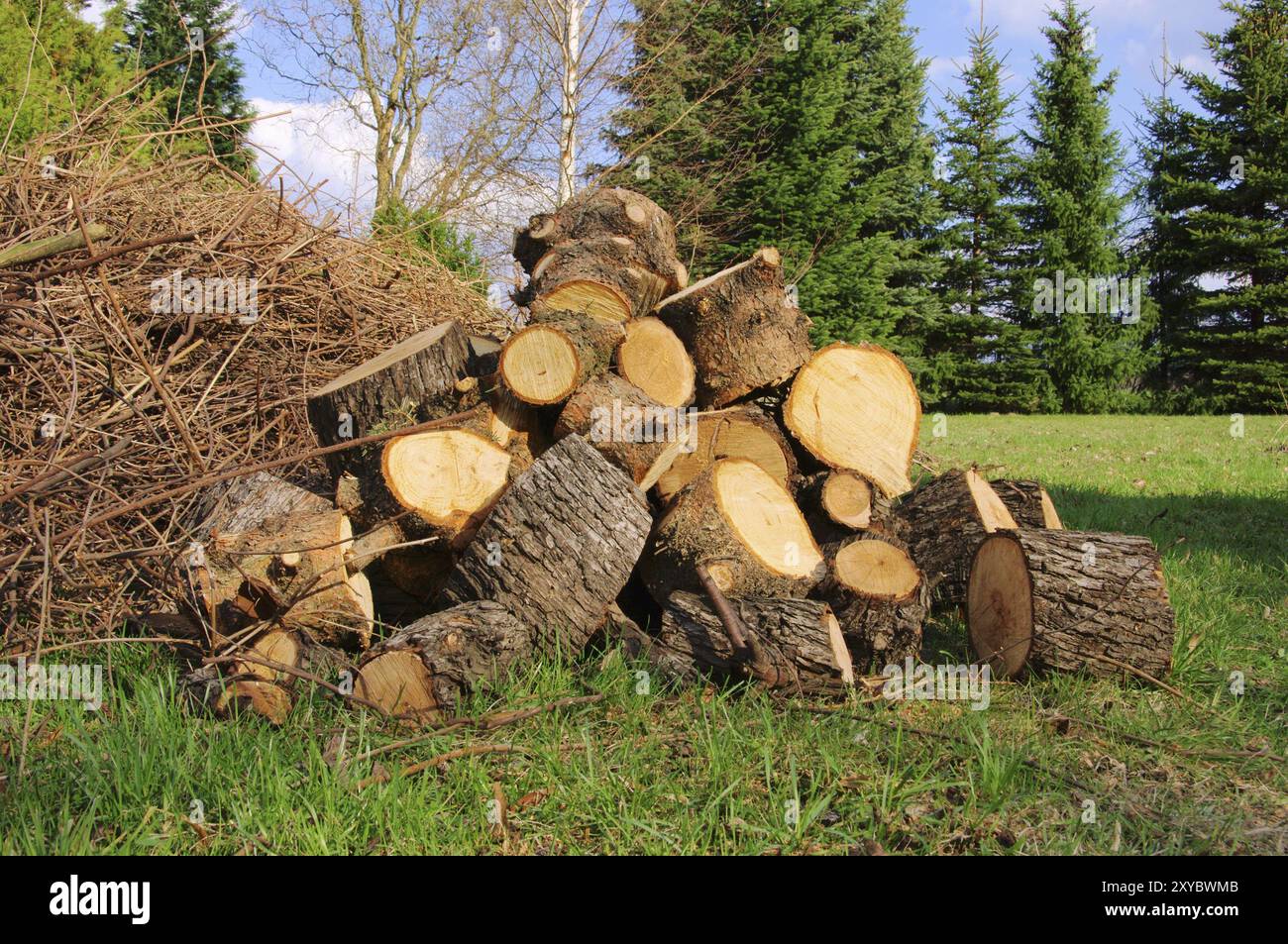 Holzstapel, Stapel aus Holz Stock Photo - Alamy