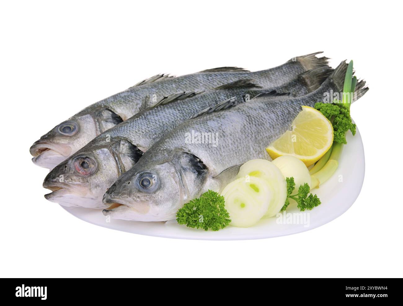 Temperate bassese hi-res stock photography and images - Alamy