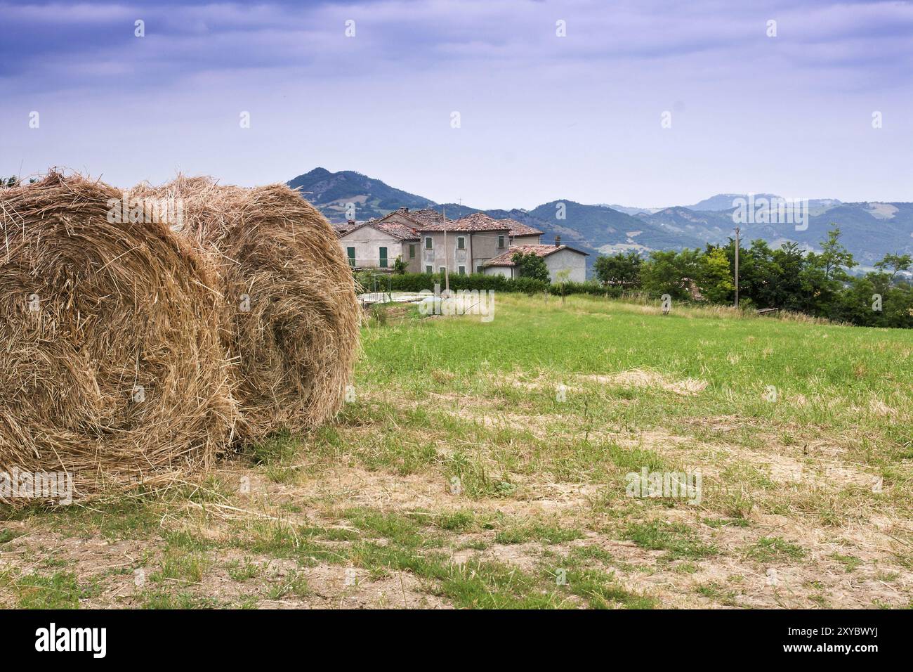 Farm with farmhouse in the Marche, Italy, Europe Stock Photo - Alamy