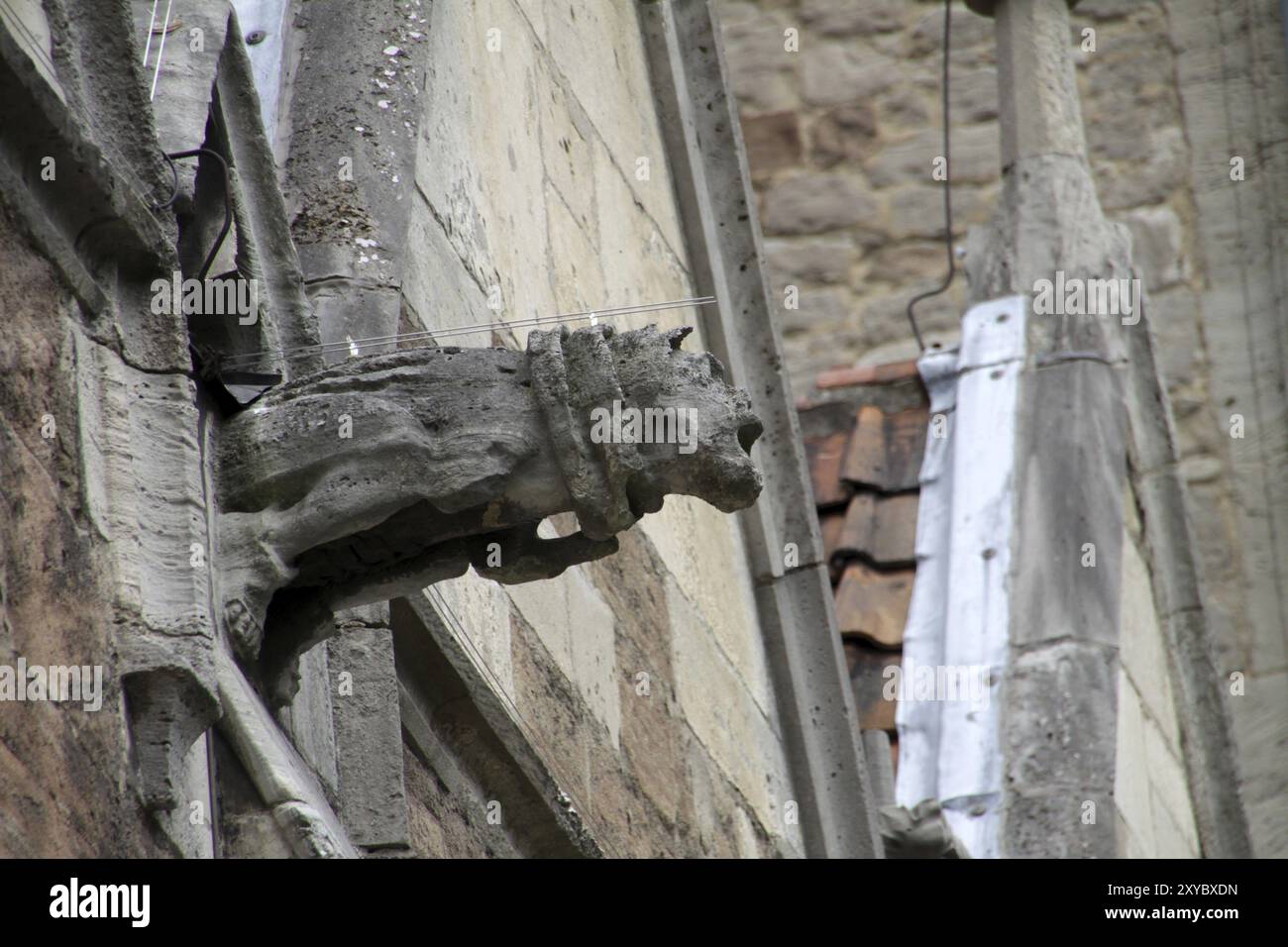 Gargoyle on building germany hi-res stock photography and images - Alamy
