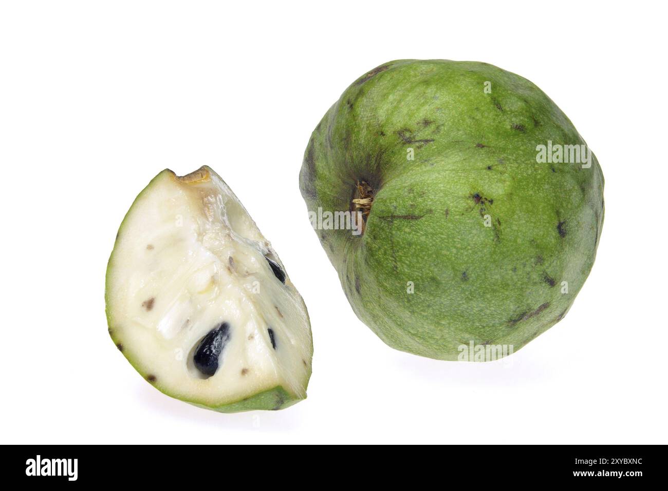 Cherimoya tree hi-res stock photography and images - Alamy