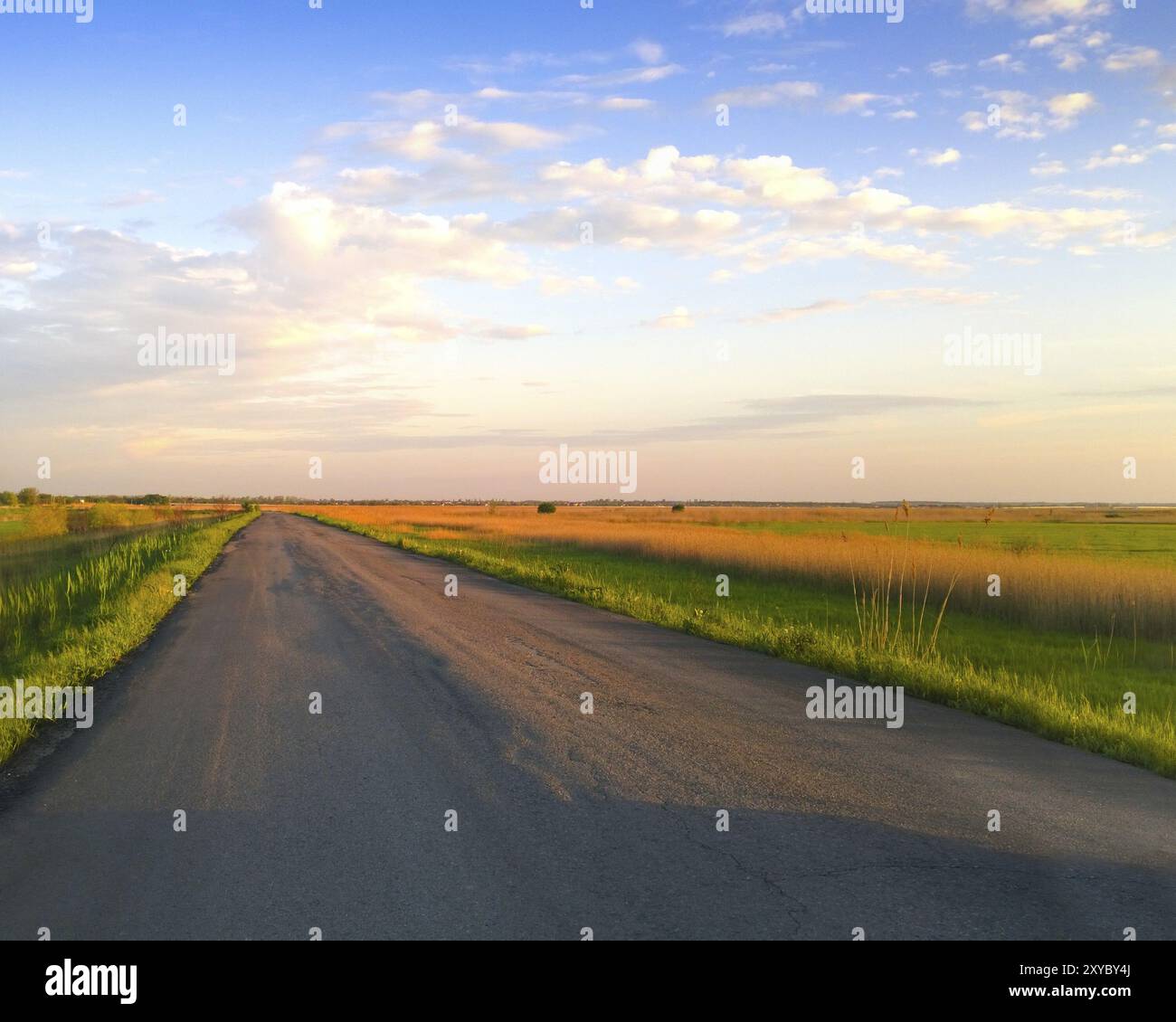 Asphalt road going through hi-res stock photography and images - Alamy