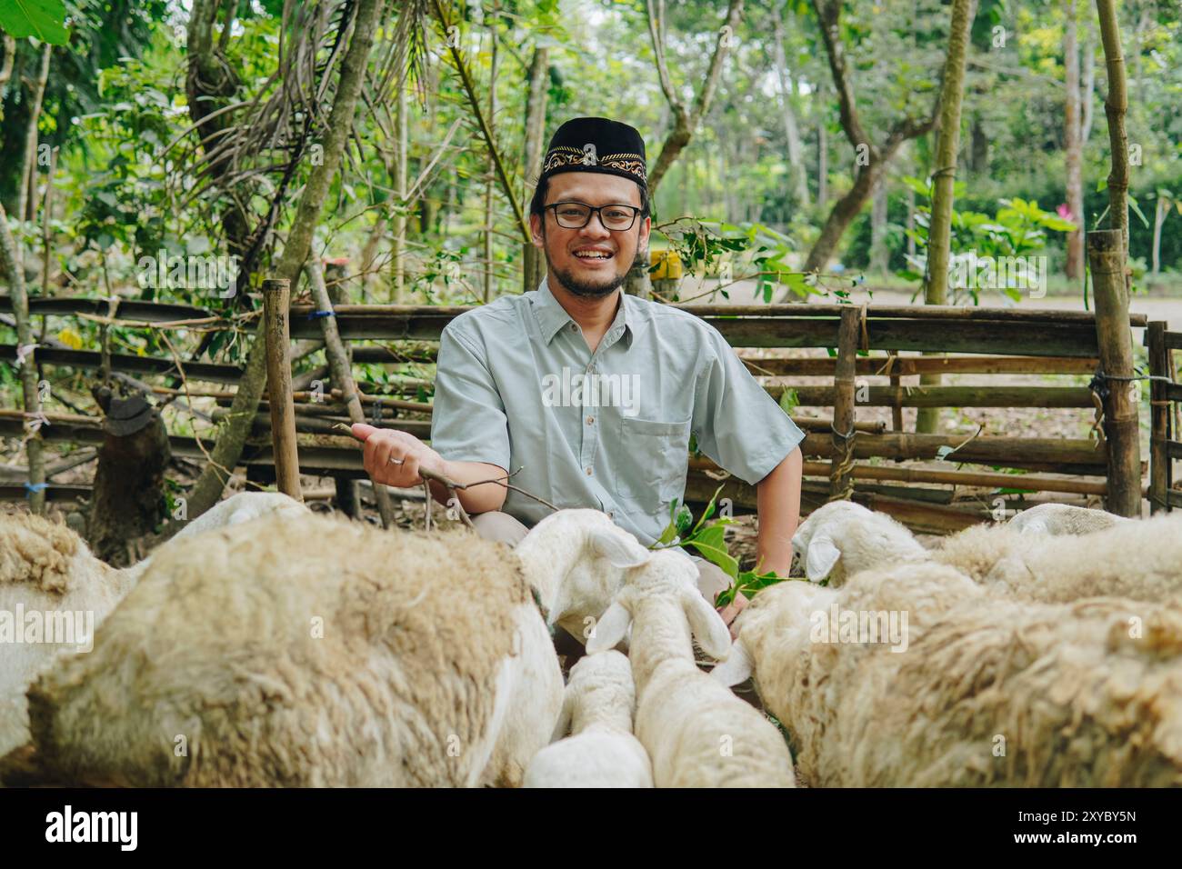 Excited Asian Muslim man giving out grass to feed the goats in ...