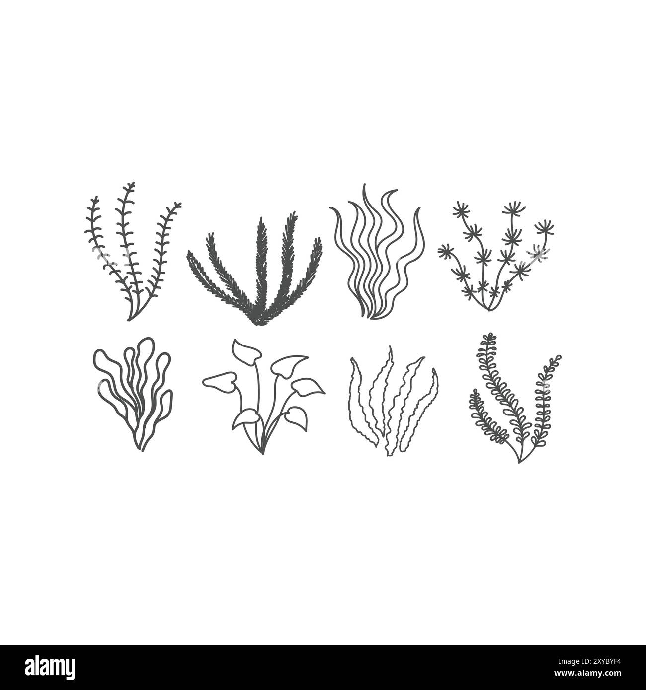 Ocean Floor Clipart Black And White Hen