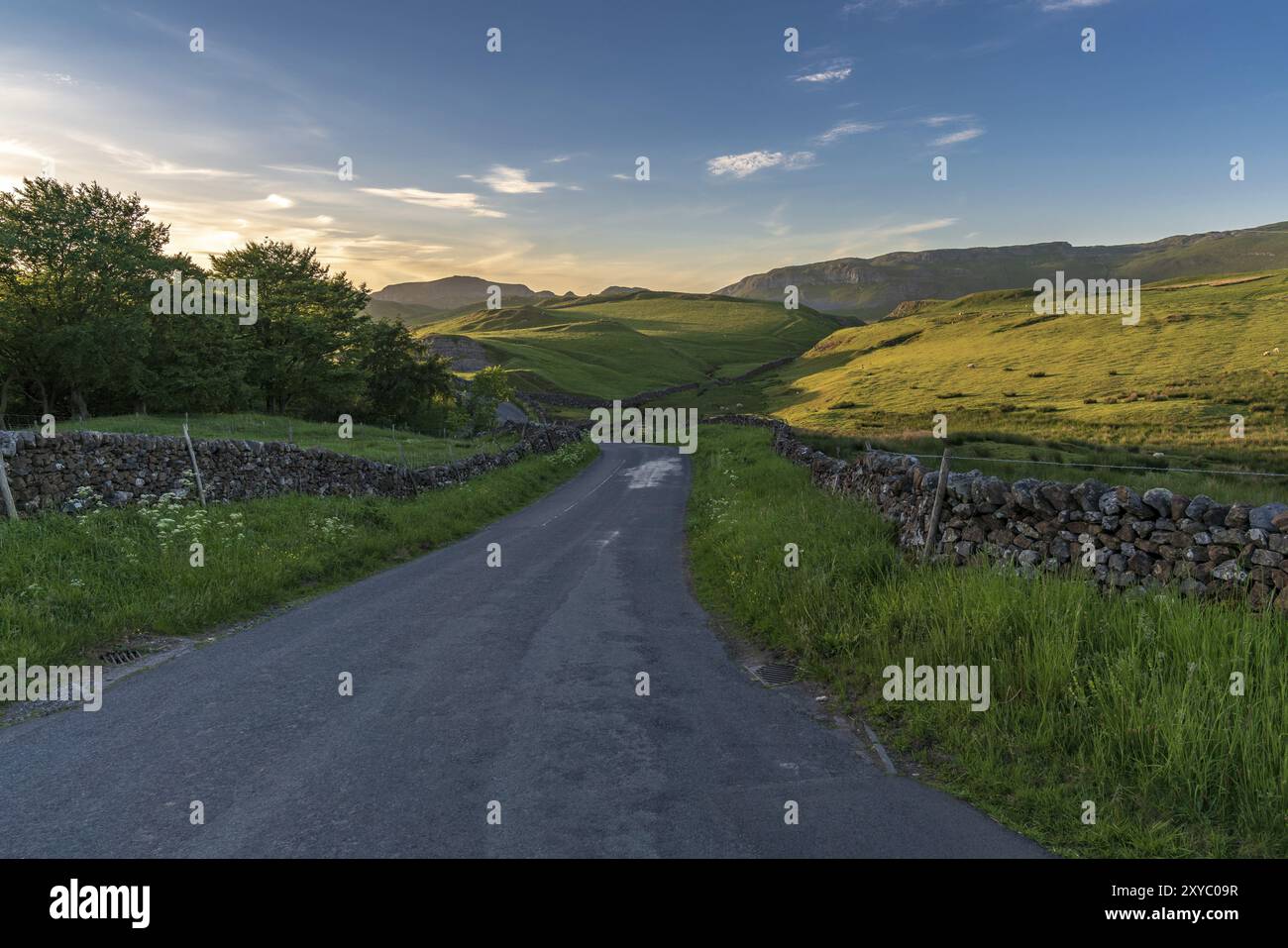 Rural road in the Yorkshire Dales near Settle, North Yorkshire, England ...