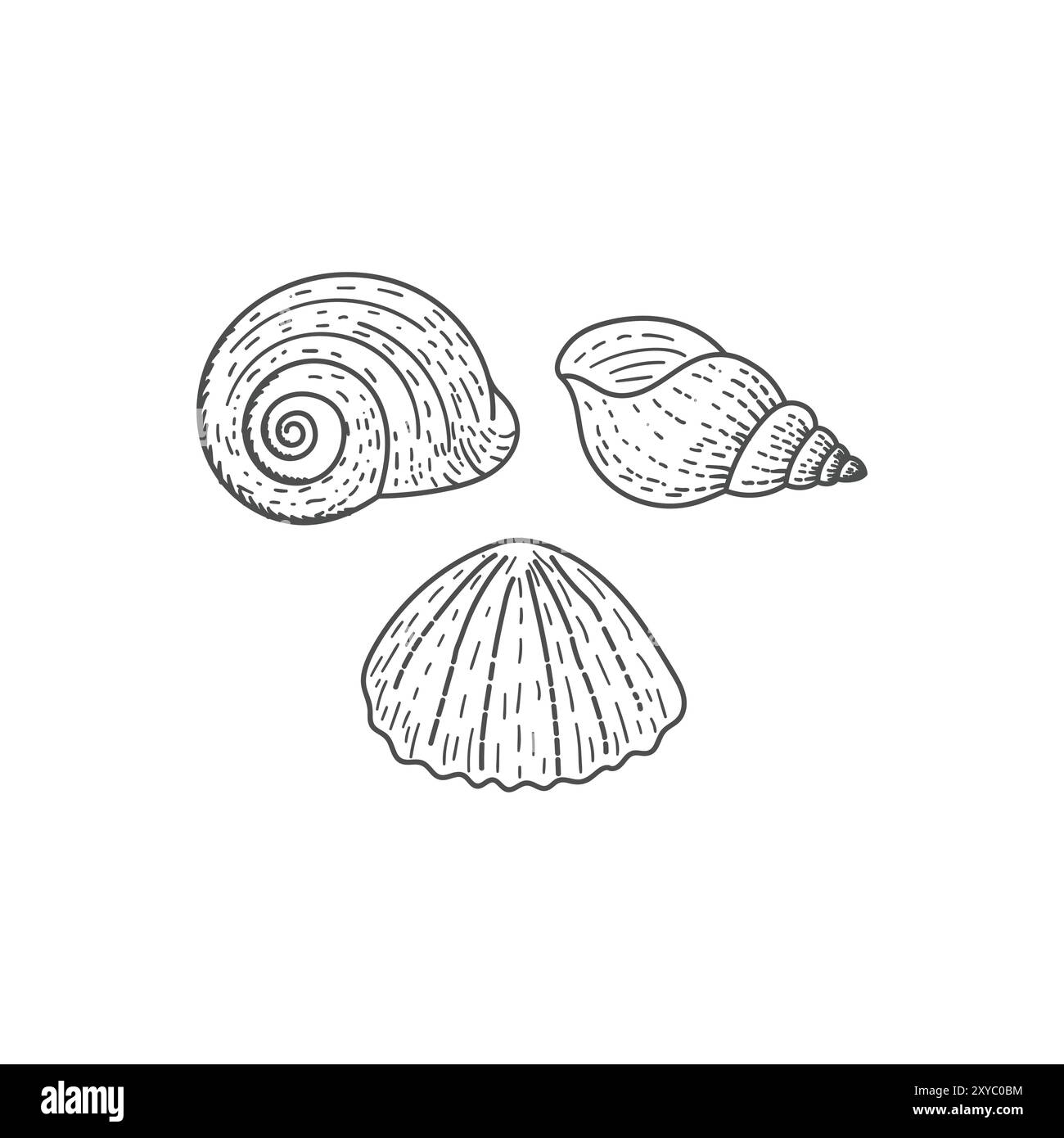 Vintage Retro Hand Drawn Engraving Sketch of Ocean Nautilus and Shell ...