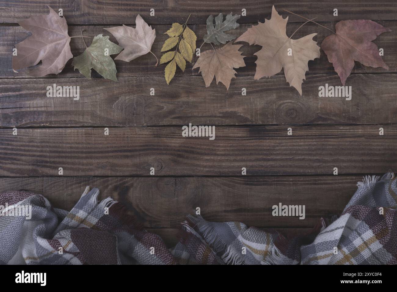 Autumn colorful leaves different trees on barn wood background copy ...