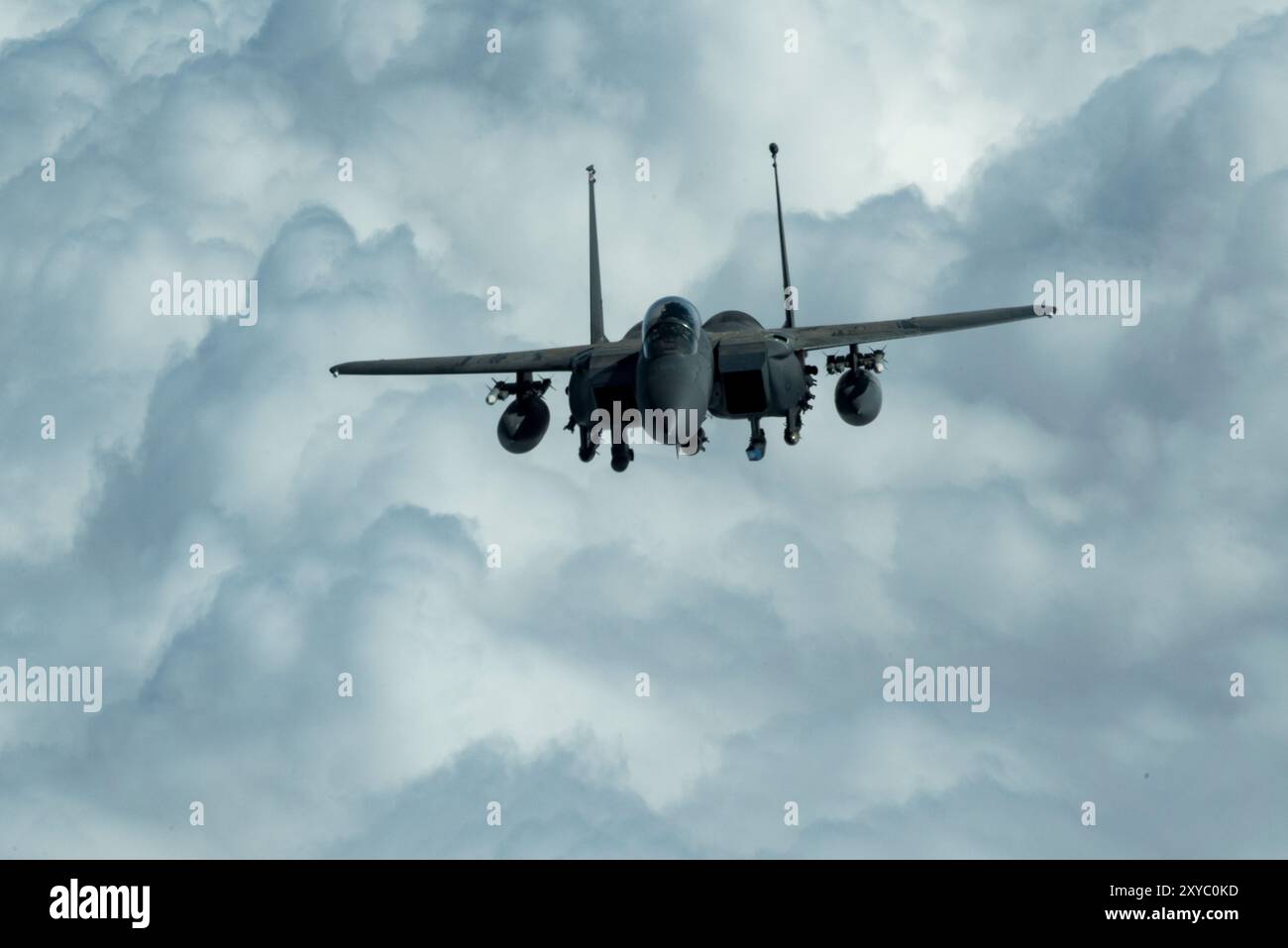 A U.S. Air Force F-15E Strike Eagle assigned to the 494th Expeditionary ...