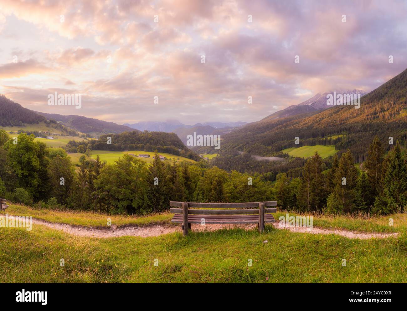 Meadow with road and bench during sunset in Berchtesgaden National Park ...