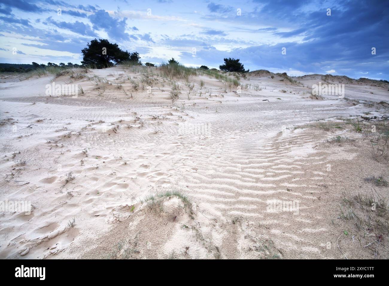 Windy sand hi-res stock photography and images - Alamy