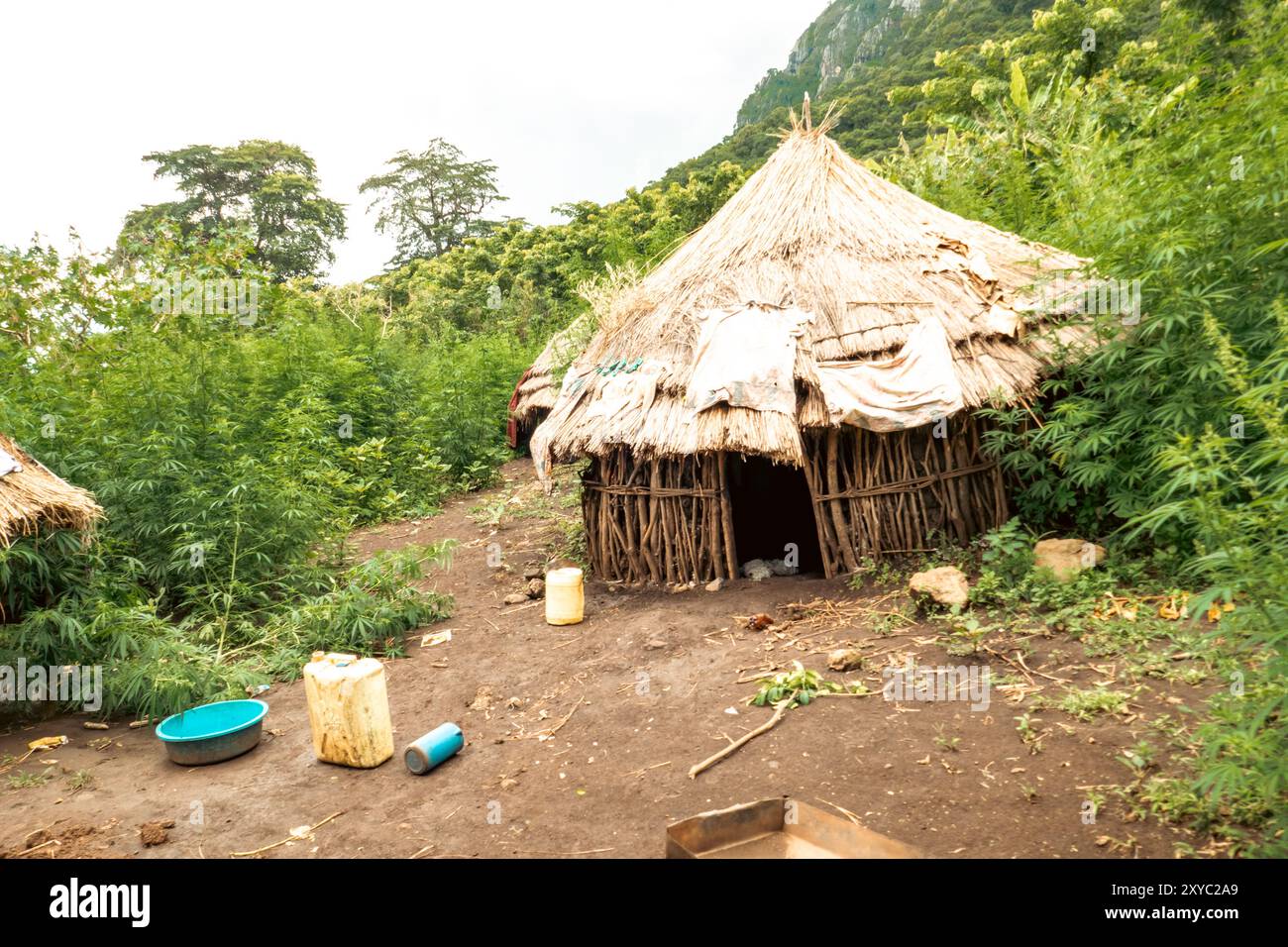 Scenic view of So Tepeth tribal village against the background of Mount ...