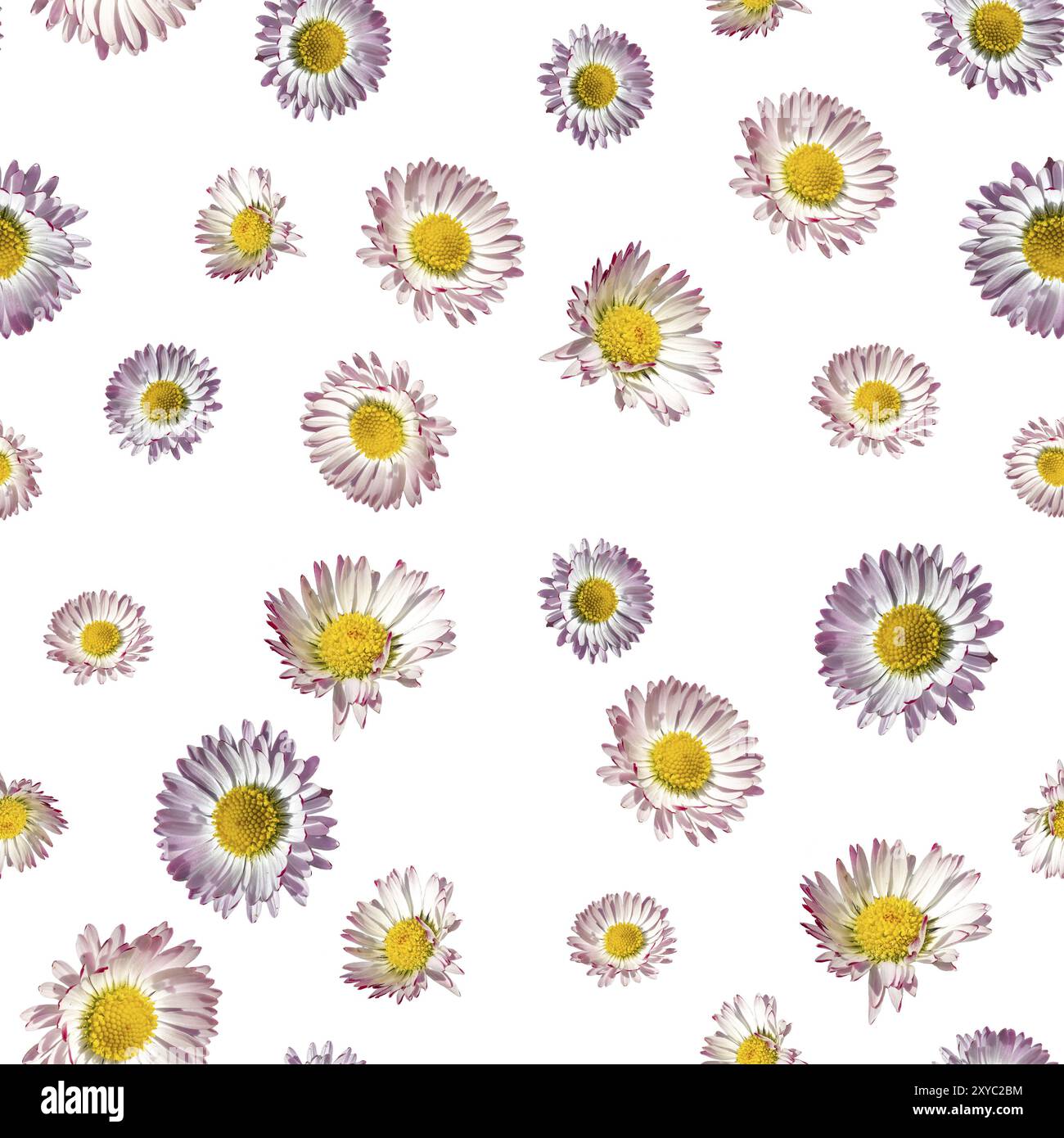 Texture with red and white daisy flowers in different sizes cut out on ...