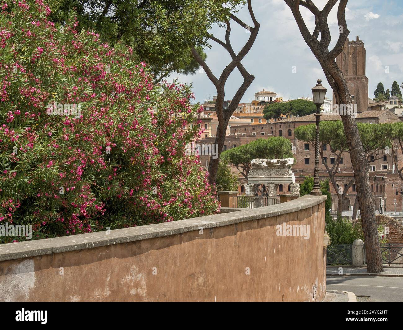 Urban landscape with flowers and winding paths lined with trees ...