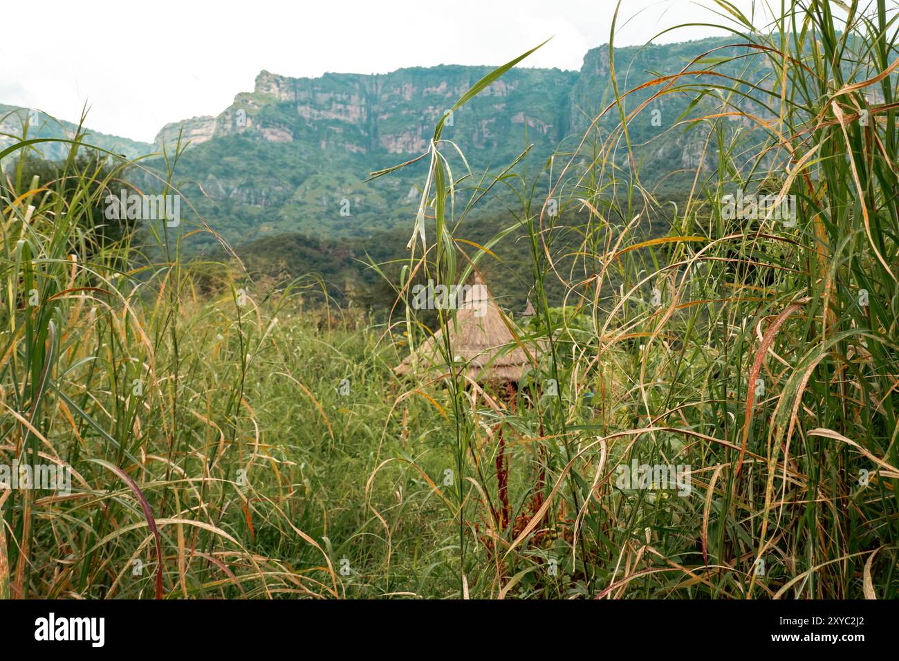 Scenic view of So Tepeth tribal village against the background of Mount ...
