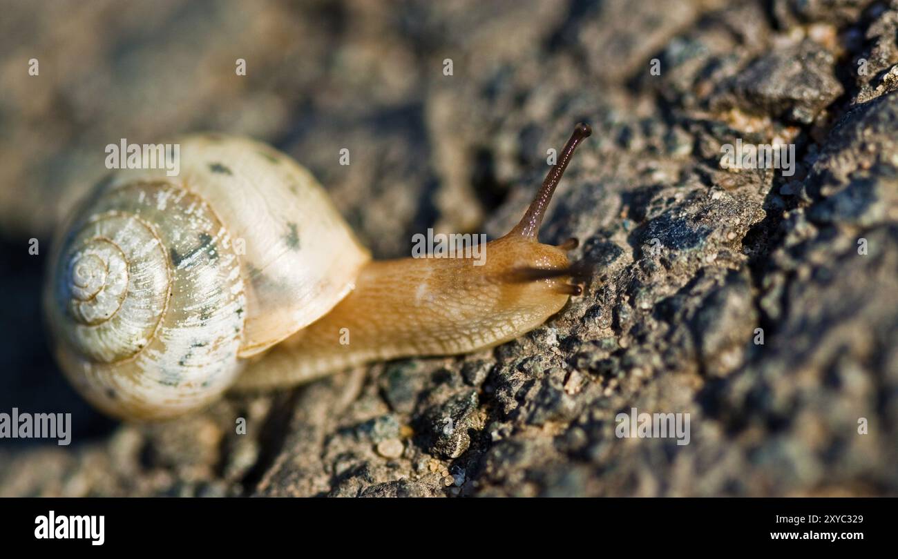Tarred surface hi-res stock photography and images - Alamy