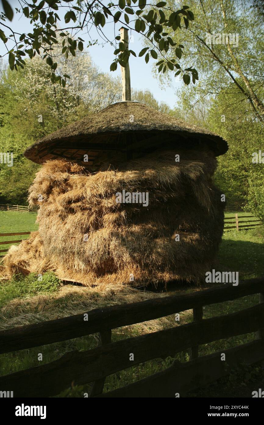 Traditional stockpiling on a farm Stock Photo - Alamy