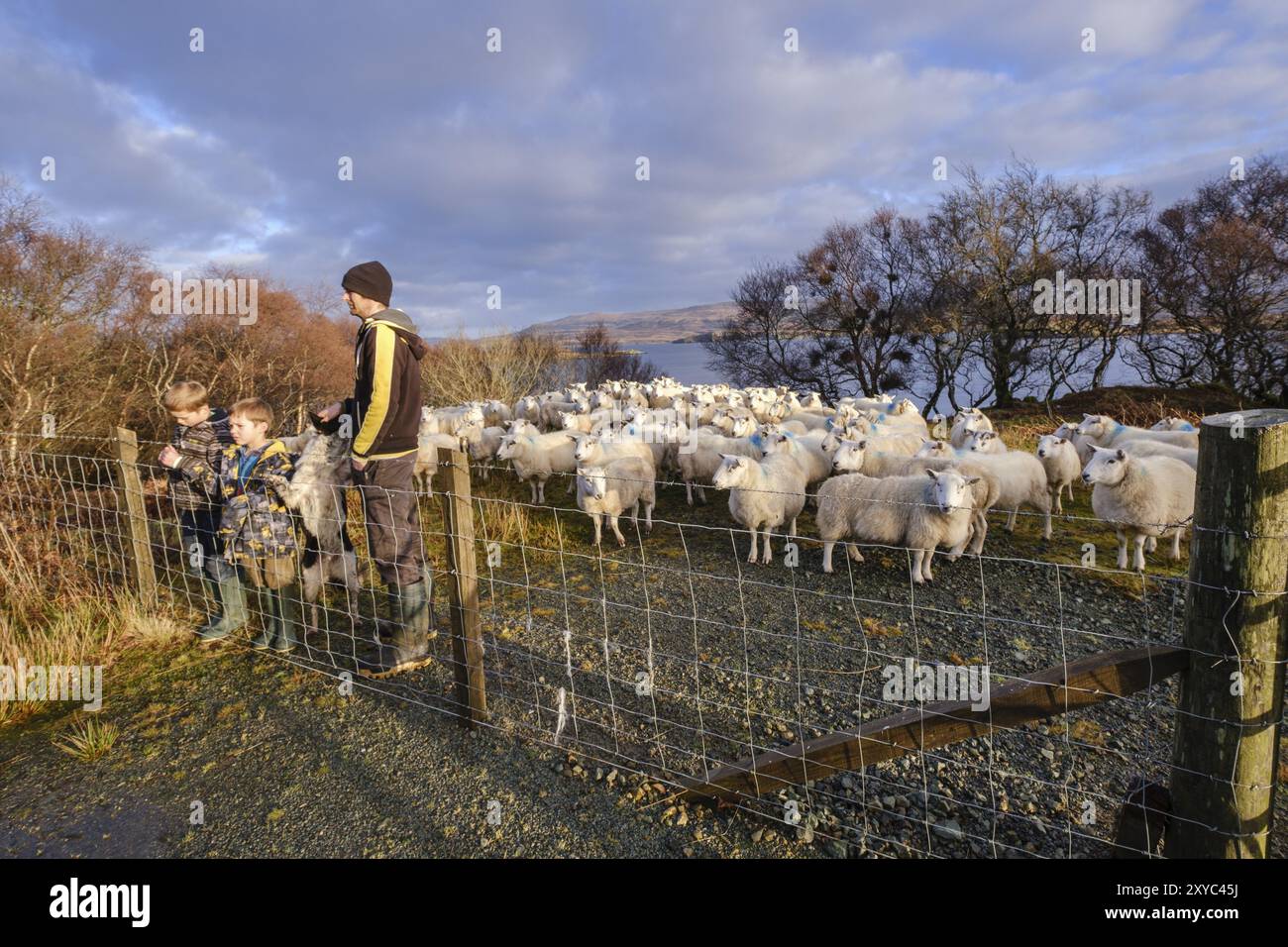 Pastor de ovejas y ovejas hi-res stock photography and images - Alamy