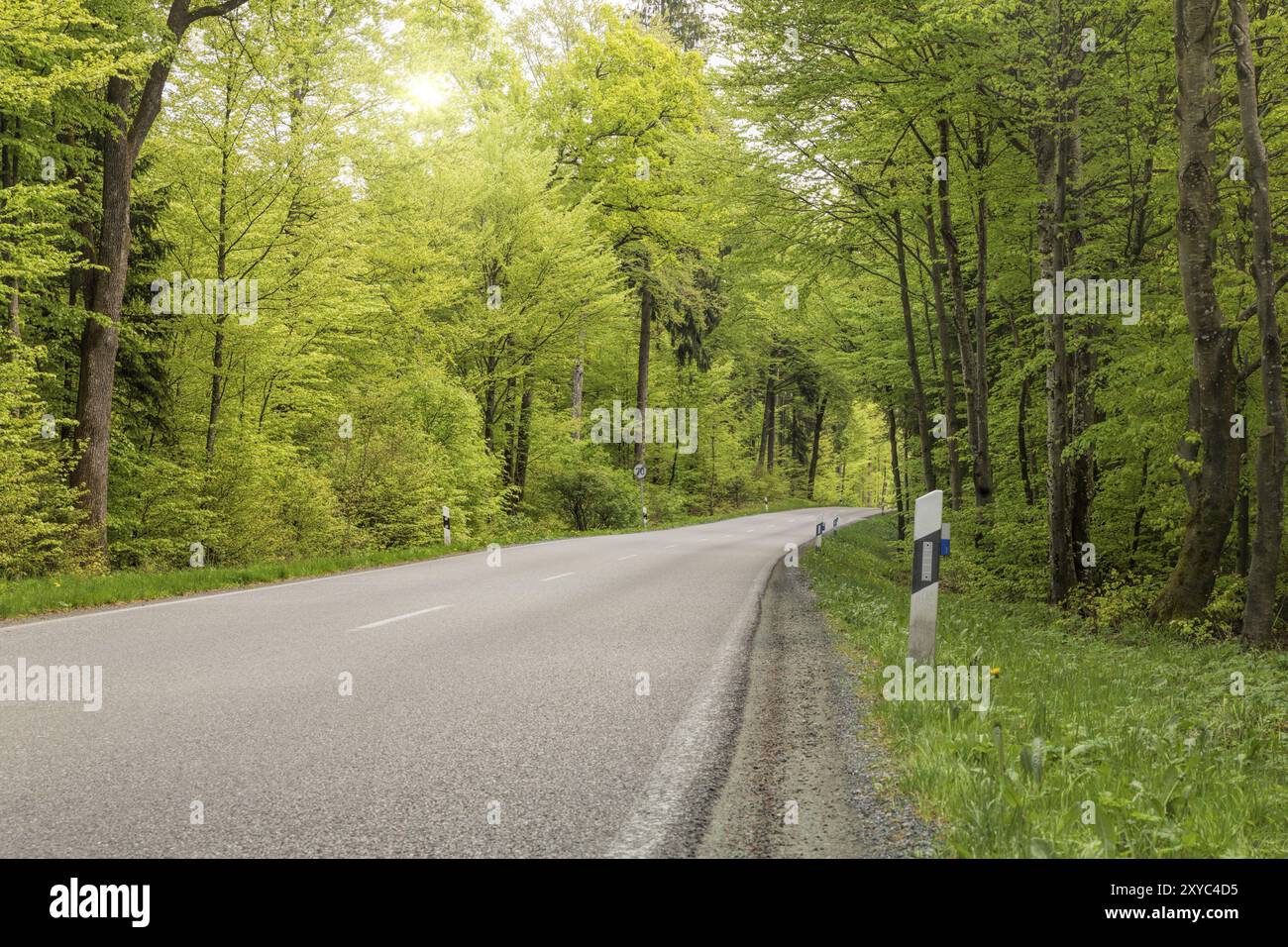 German forest in spring driving hi-res stock photography and images - Alamy