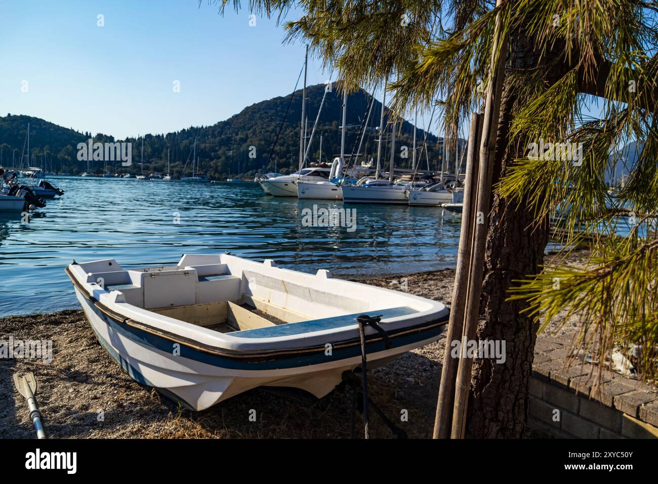 boat tree sea Stock Photo - Alamy