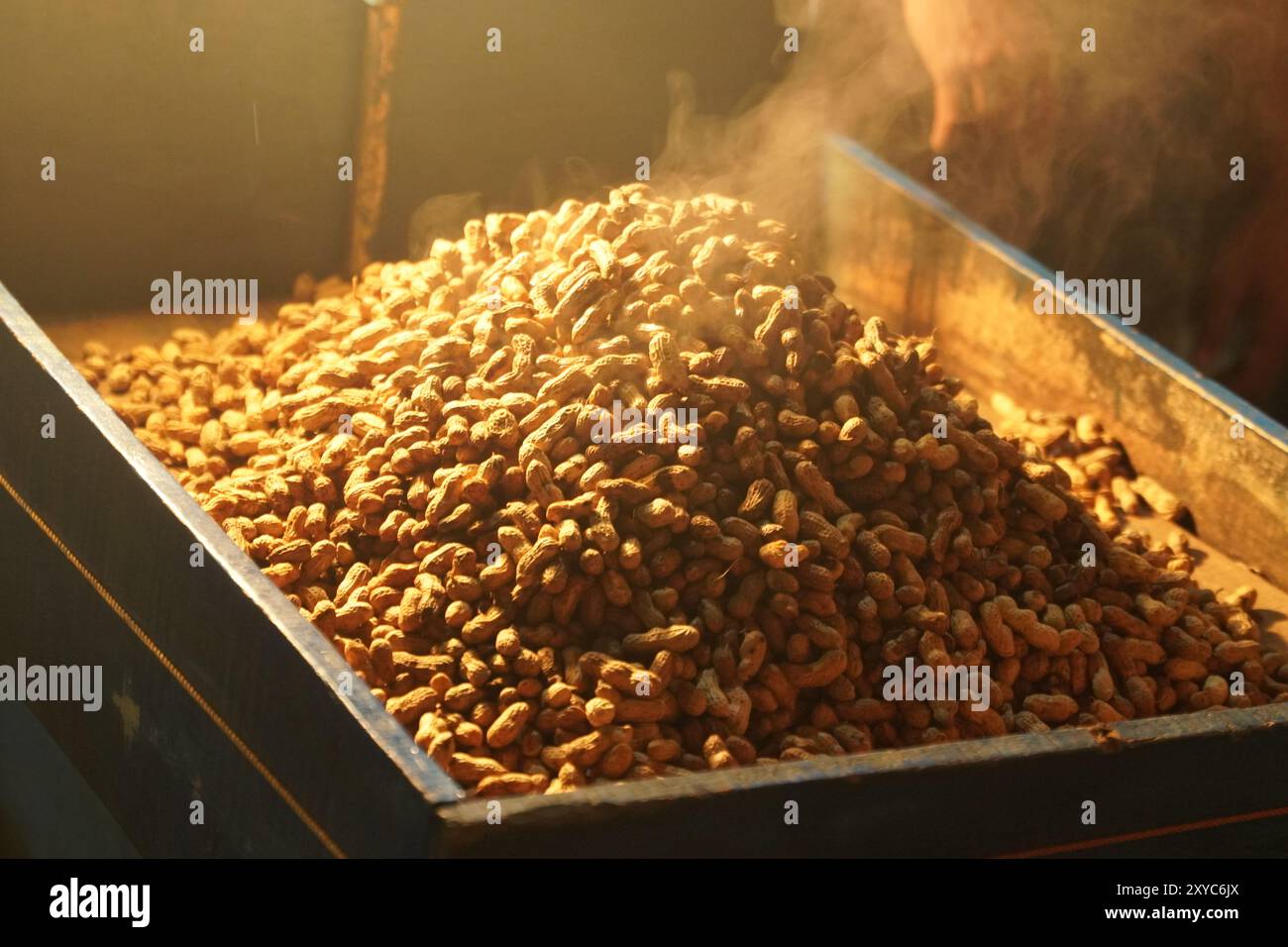 A pile of steamed peanuts sits in a blue container. The peanuts are ...