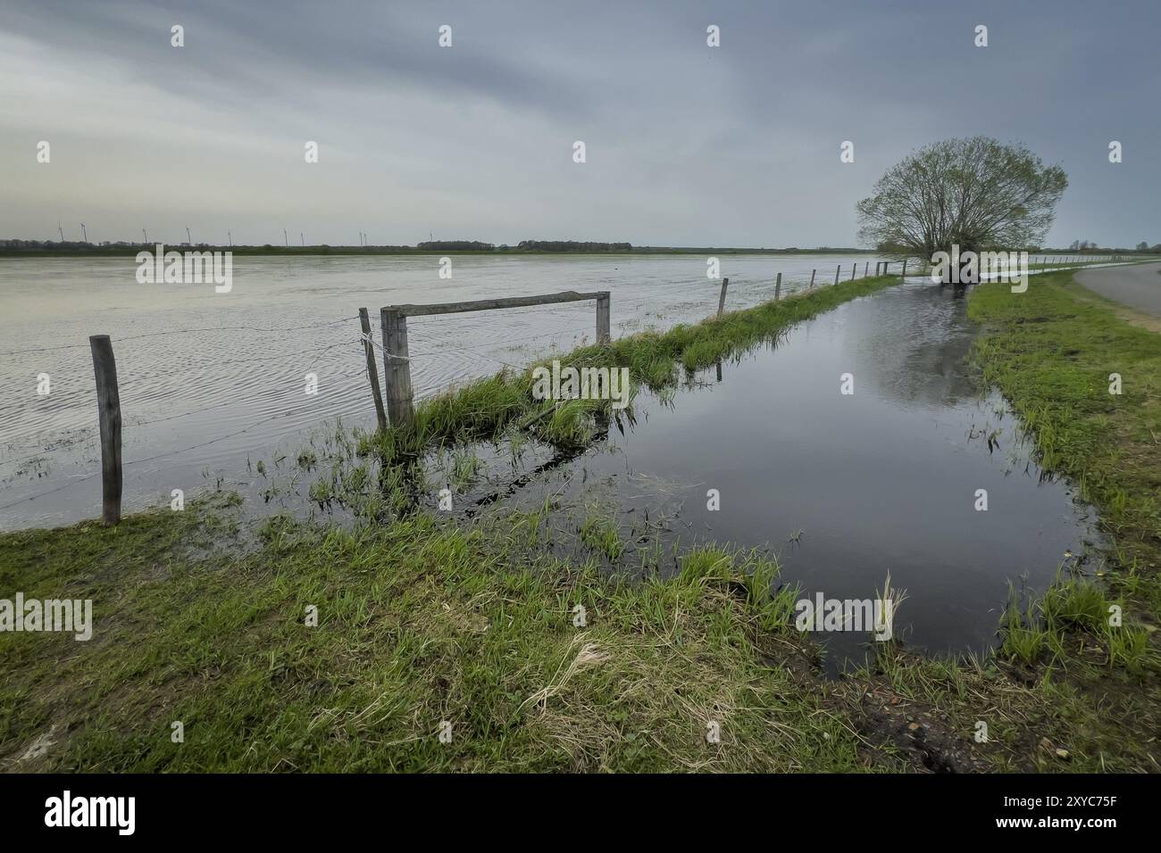 Ochsenmoor nature reserve, flooded, water, flood, tree, ditch, fence ...