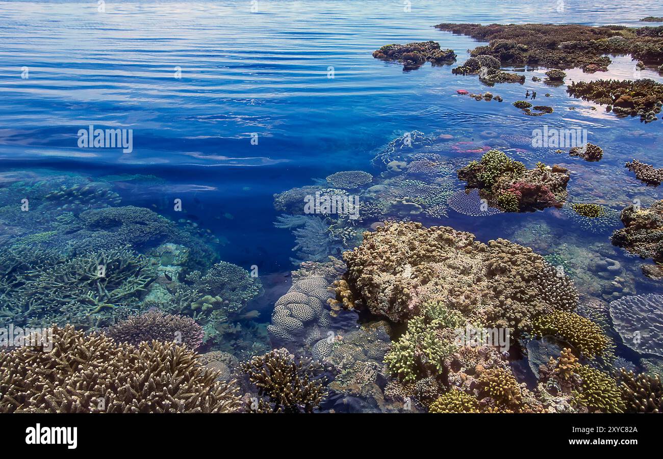 Reef flat hi-res stock photography and images - Alamy