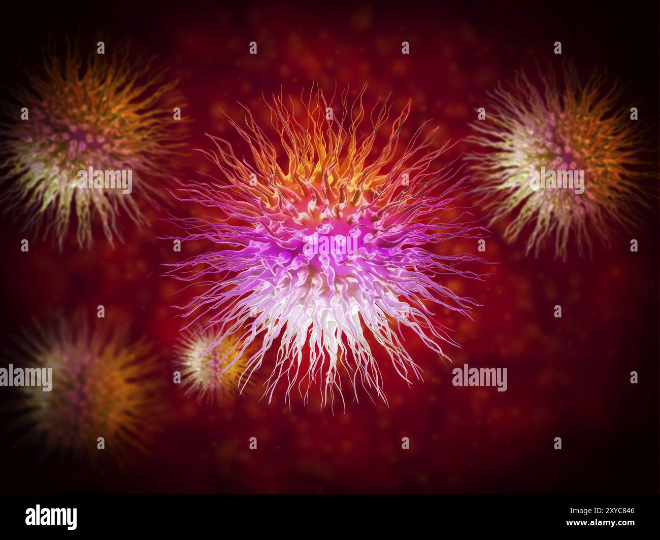 Microscopic view of dendrimers. Dendrimers are repetitively branched ...
