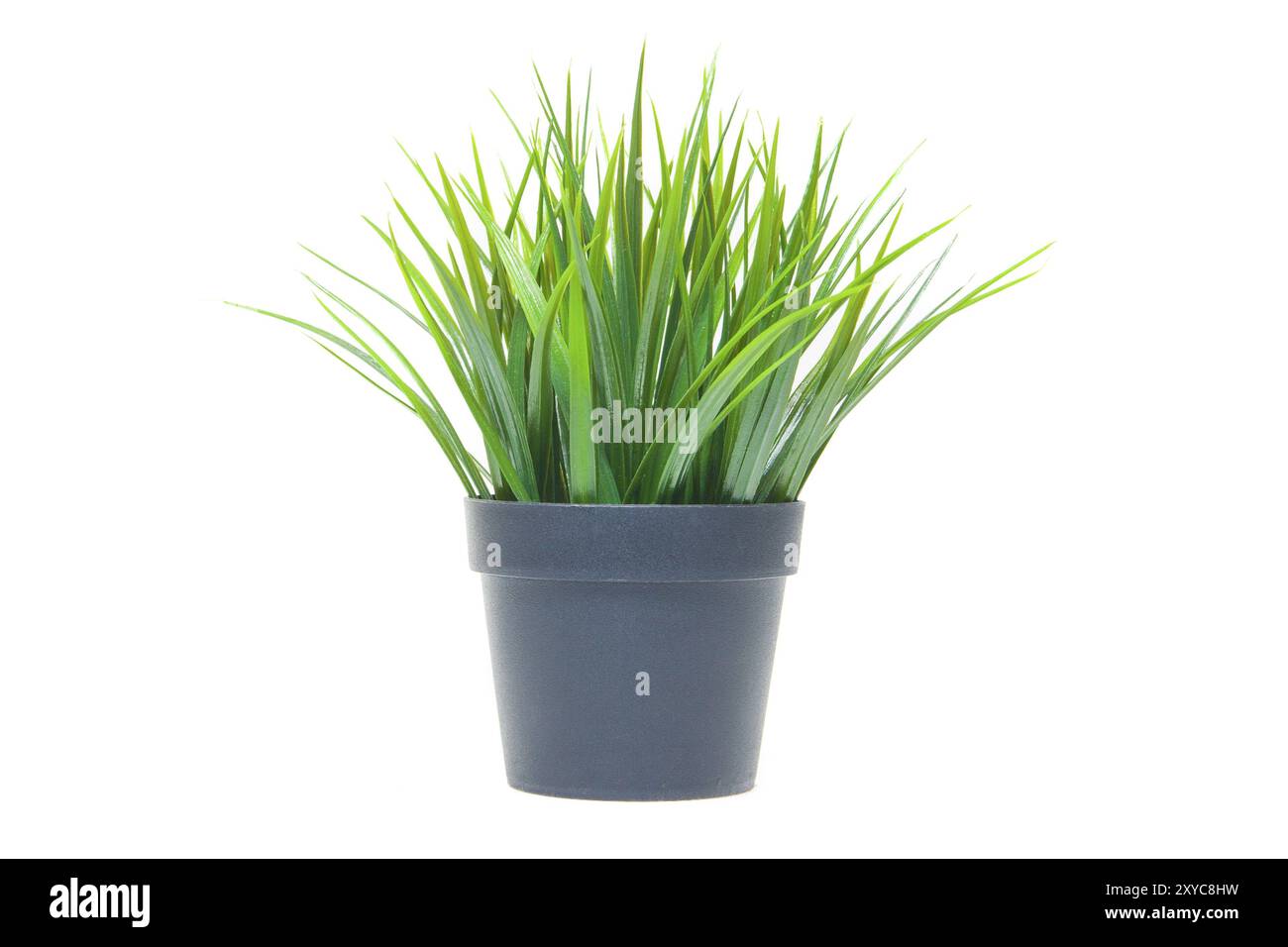 Grass side Cut Out Stock Images & Pictures - Alamy