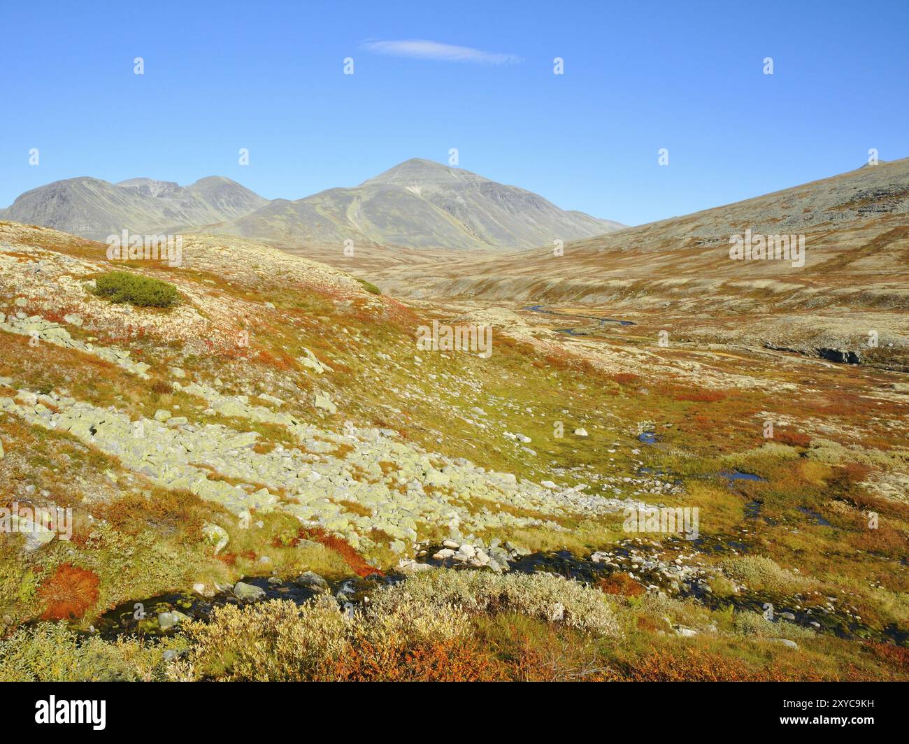 Rondane n hi-res stock photography and images - Alamy