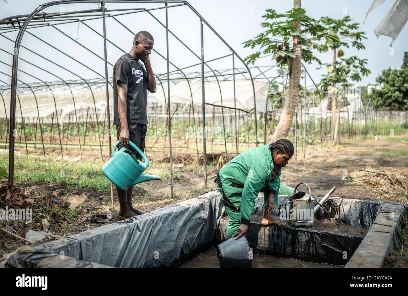 (240829) -- BRAZZAVILLE, Aug. 29, 2024 (Xinhua) -- Local employees ...