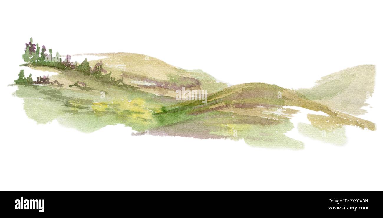 Scenery landscape rolling hills with flowers, meadow field moorland ...