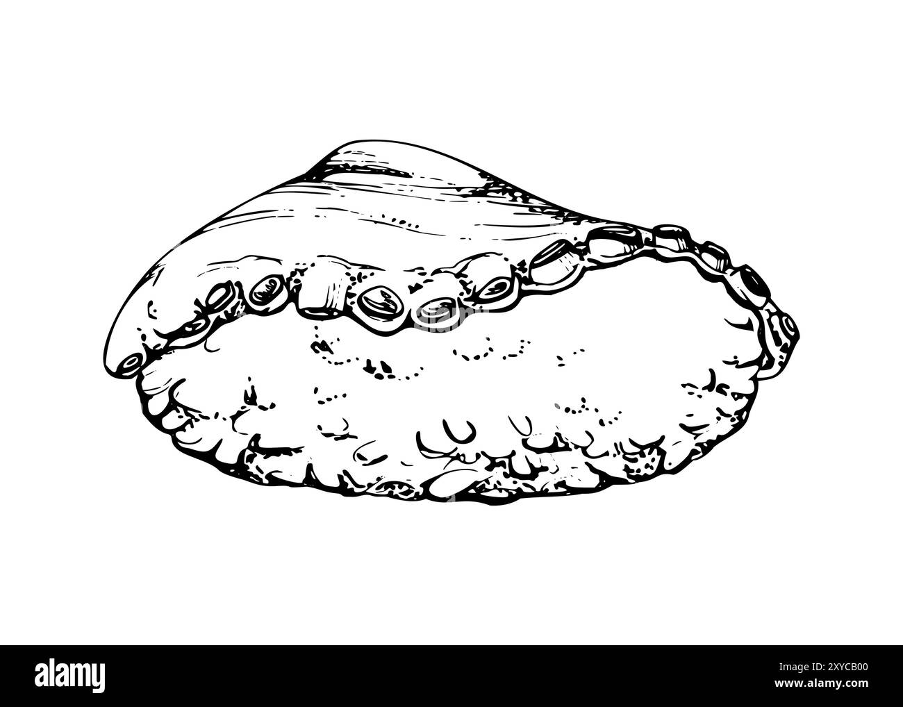 Traditional Japanese food, nigiri sushi raw fish on rice ball, octopus ...