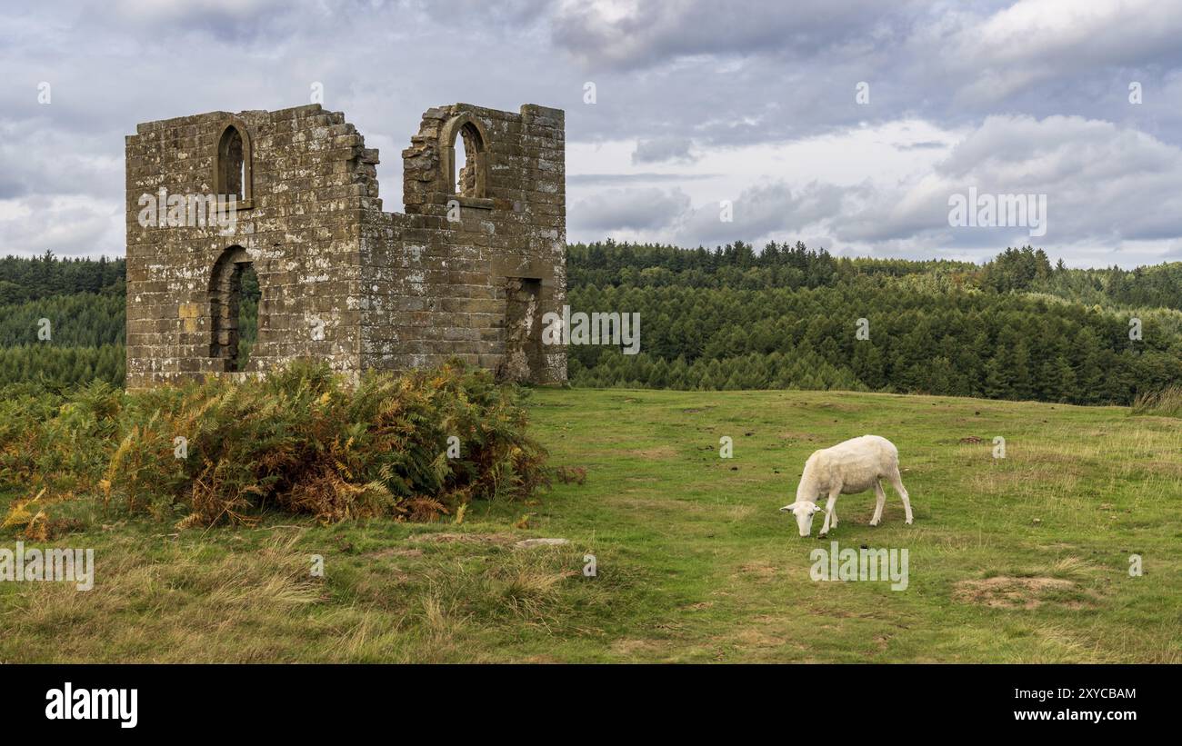 North York Moors landscape, looking at Skelton Tower, seen from the ...